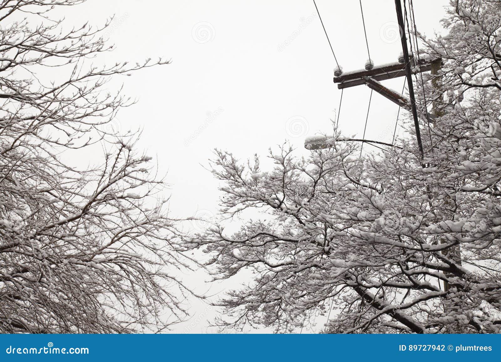 Snow on Power Lines, Snow Storm Stock Photo - Image of detail ...