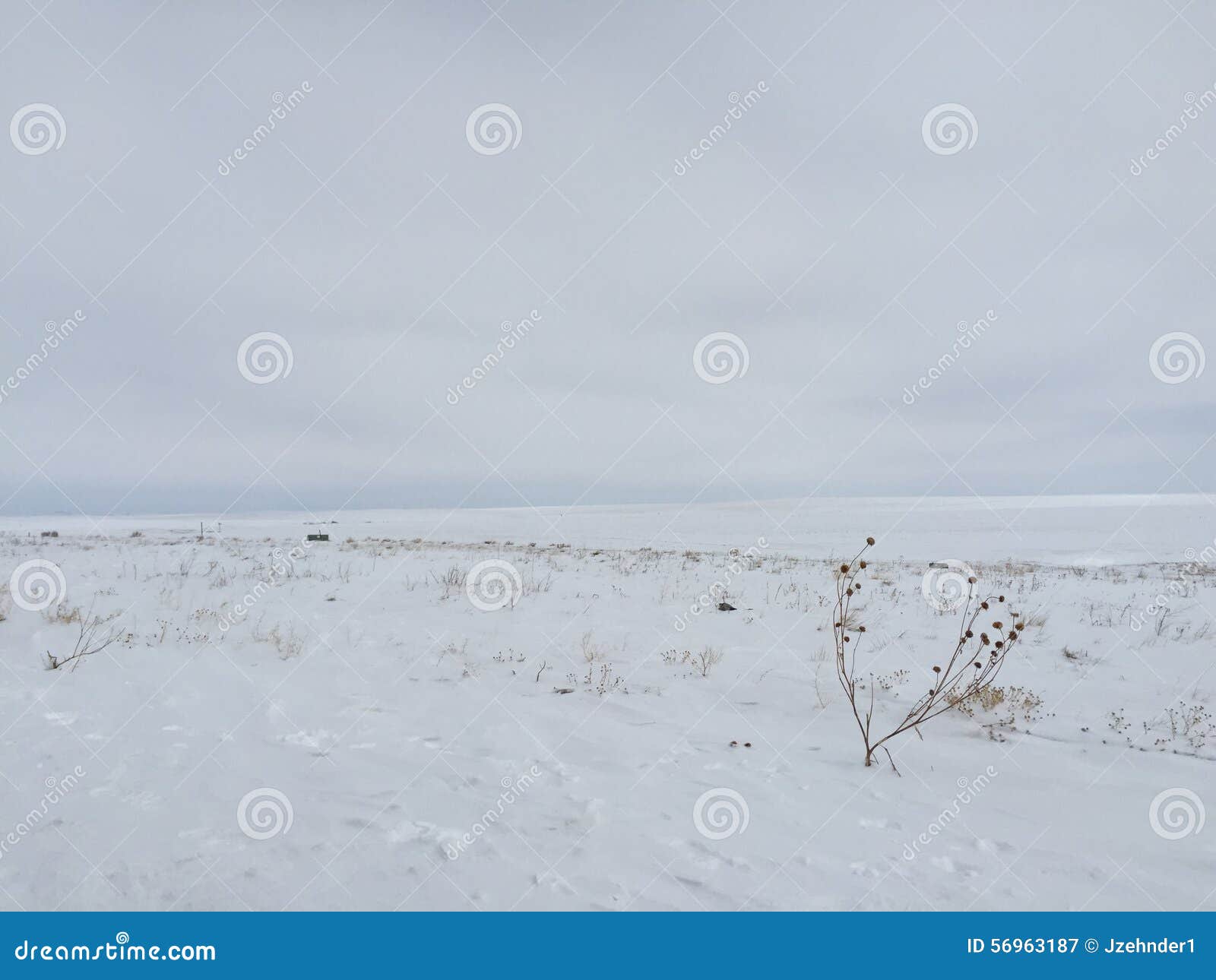 Snow on the Prairie stock image. Image of lonely, freezing - 56963187