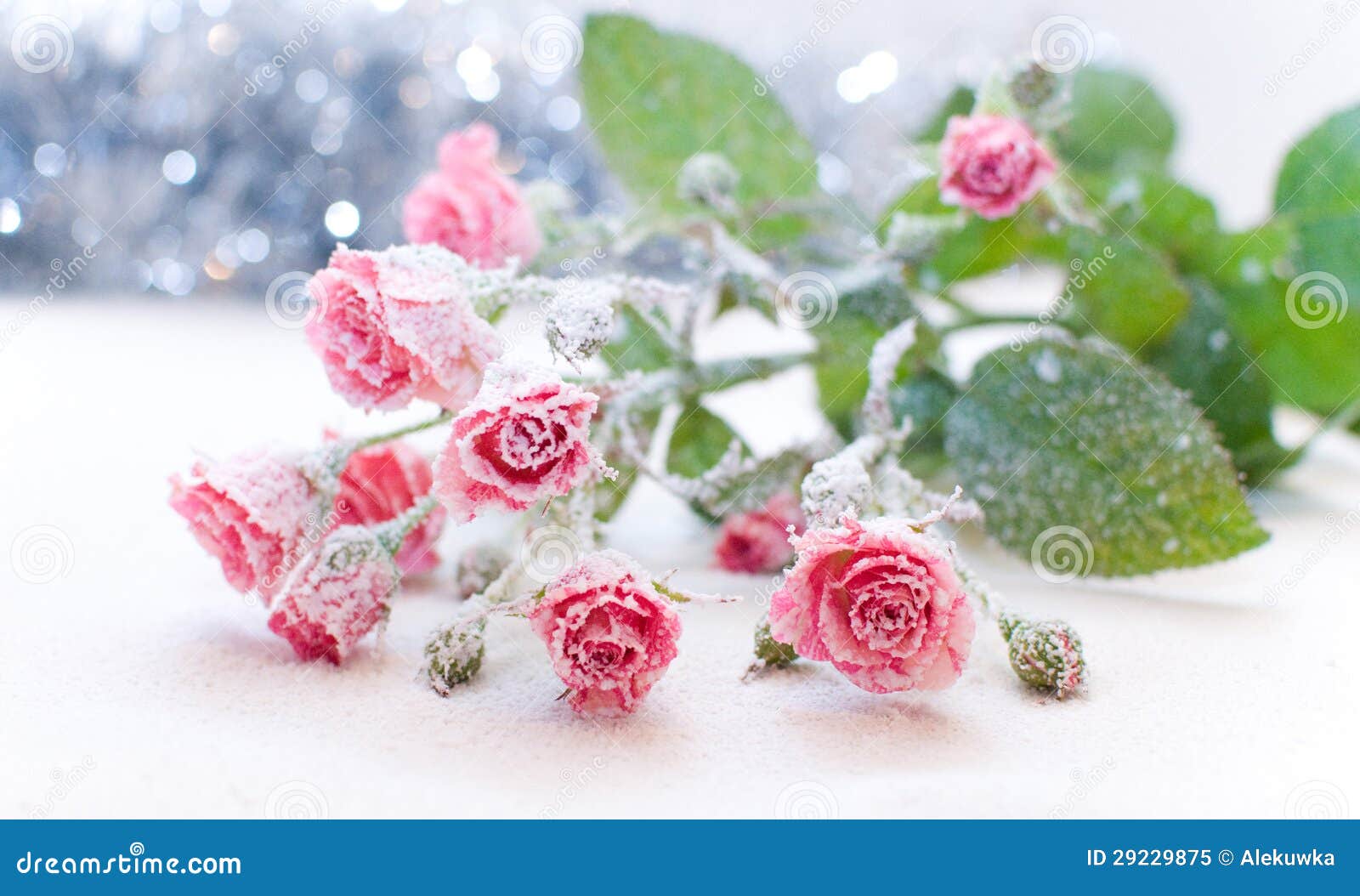 The Snow Queen stock image. Image of bouquet, cold, freeze - 29229875