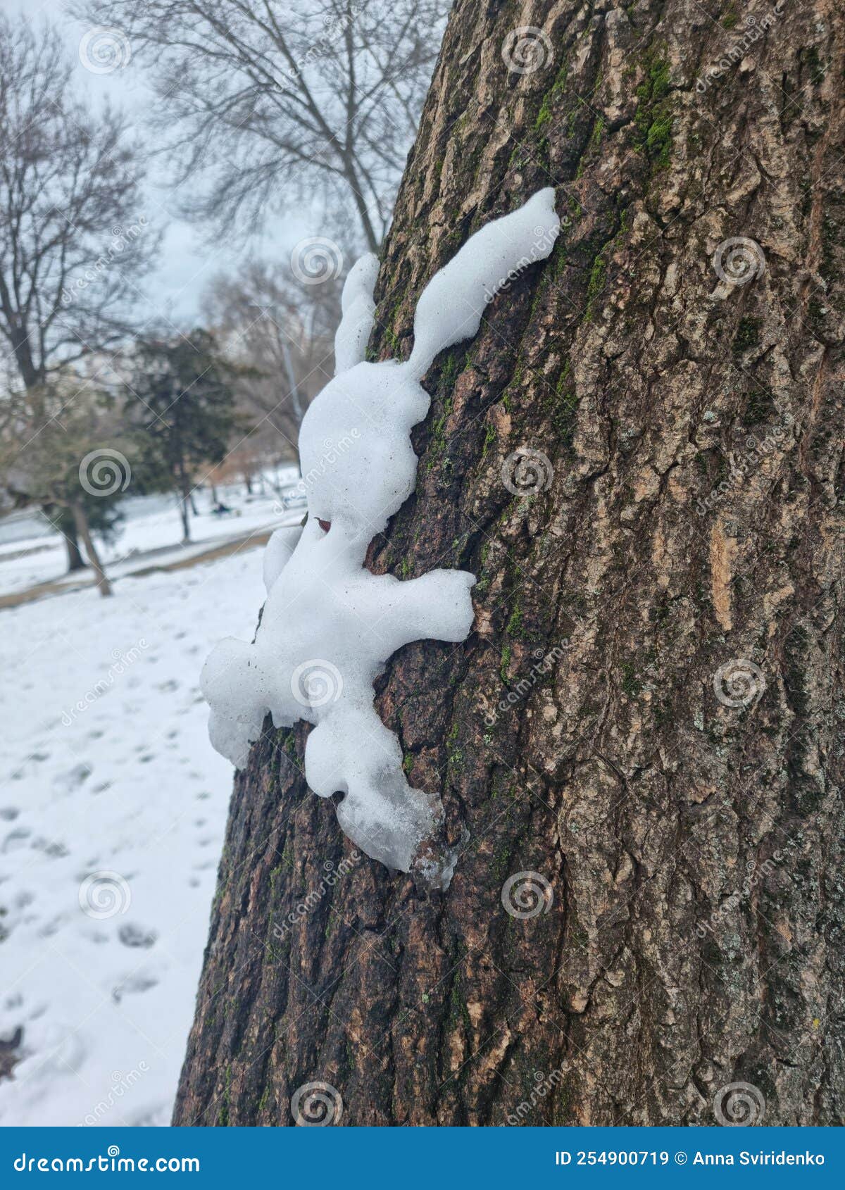 Snow Rabbit on a Tree Trunk Stock Image - Image of cute, abstract ...