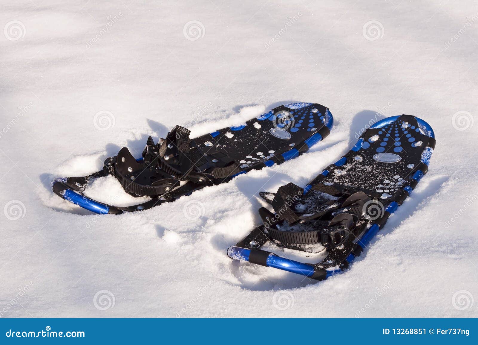 Snow rackets stock image. Image of explore, footwear - 13268851