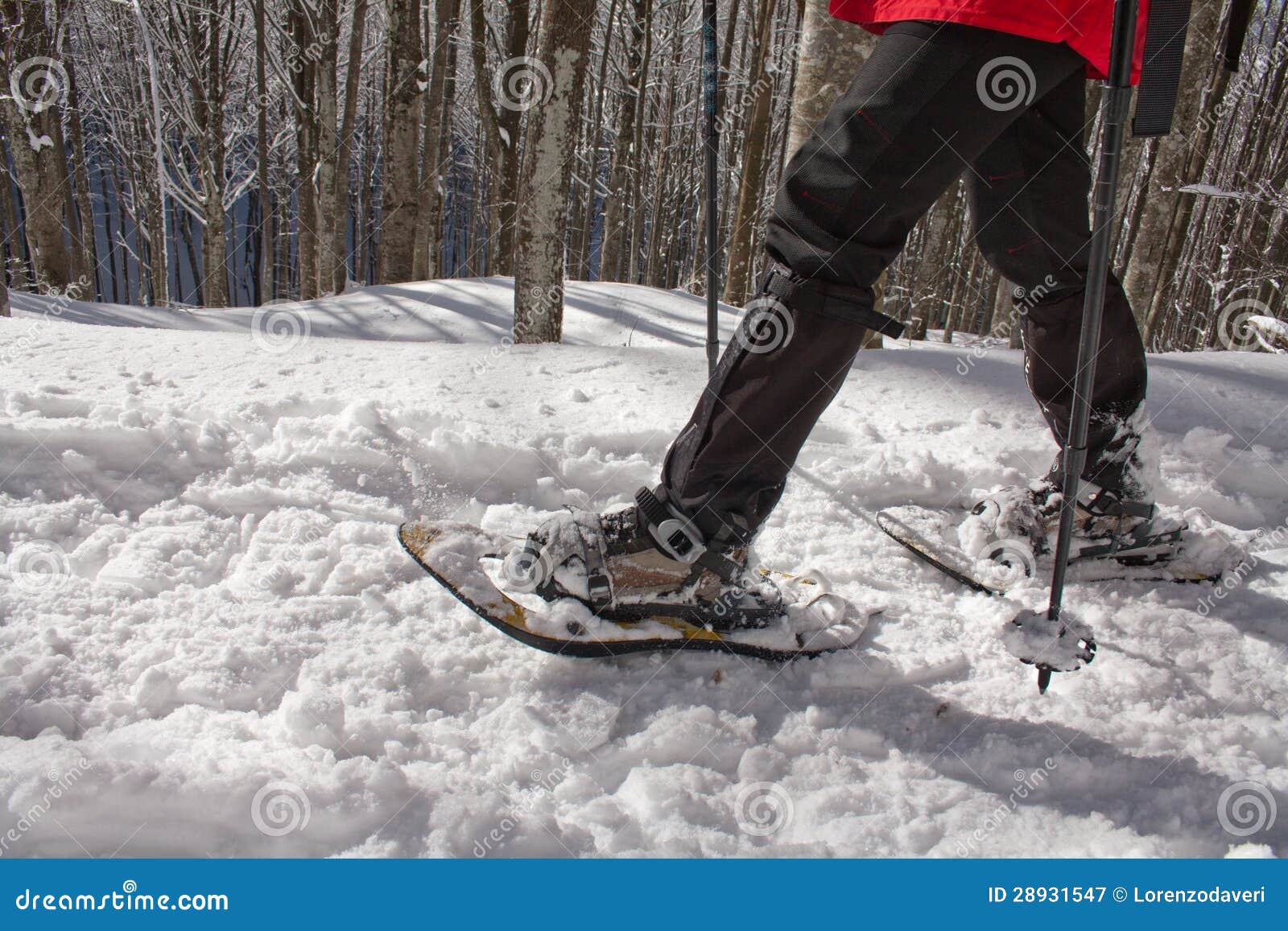 Snow rackets people stock image. Image of relax, nature - 28931547