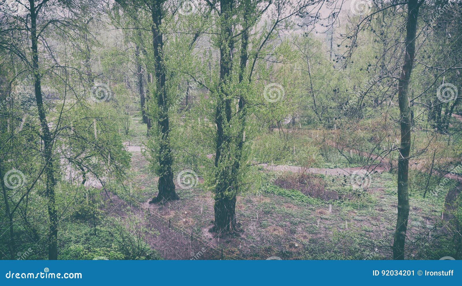 Snow with Rain in the Spring in the City Park Stock Image - Image of ...
