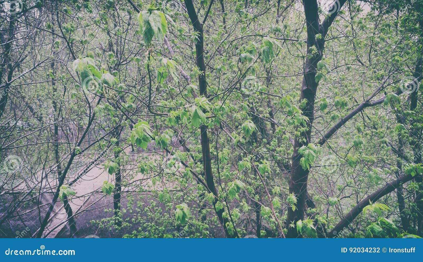 Snow with Rain in the Spring in the City Park Stock Photo - Image of ...