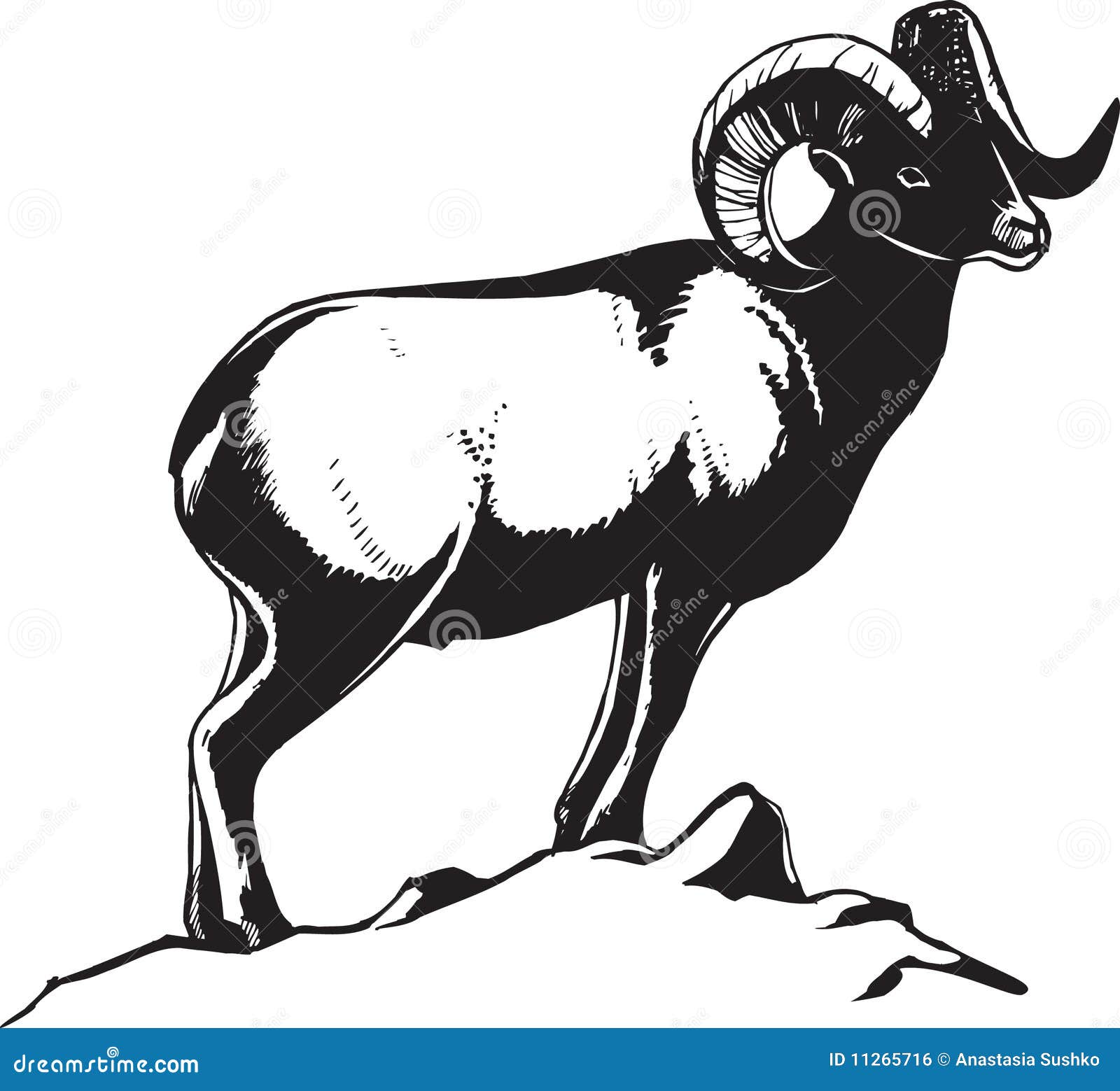 Snow ram stock vector. Illustration of hoof, mark, mountain - 11265716