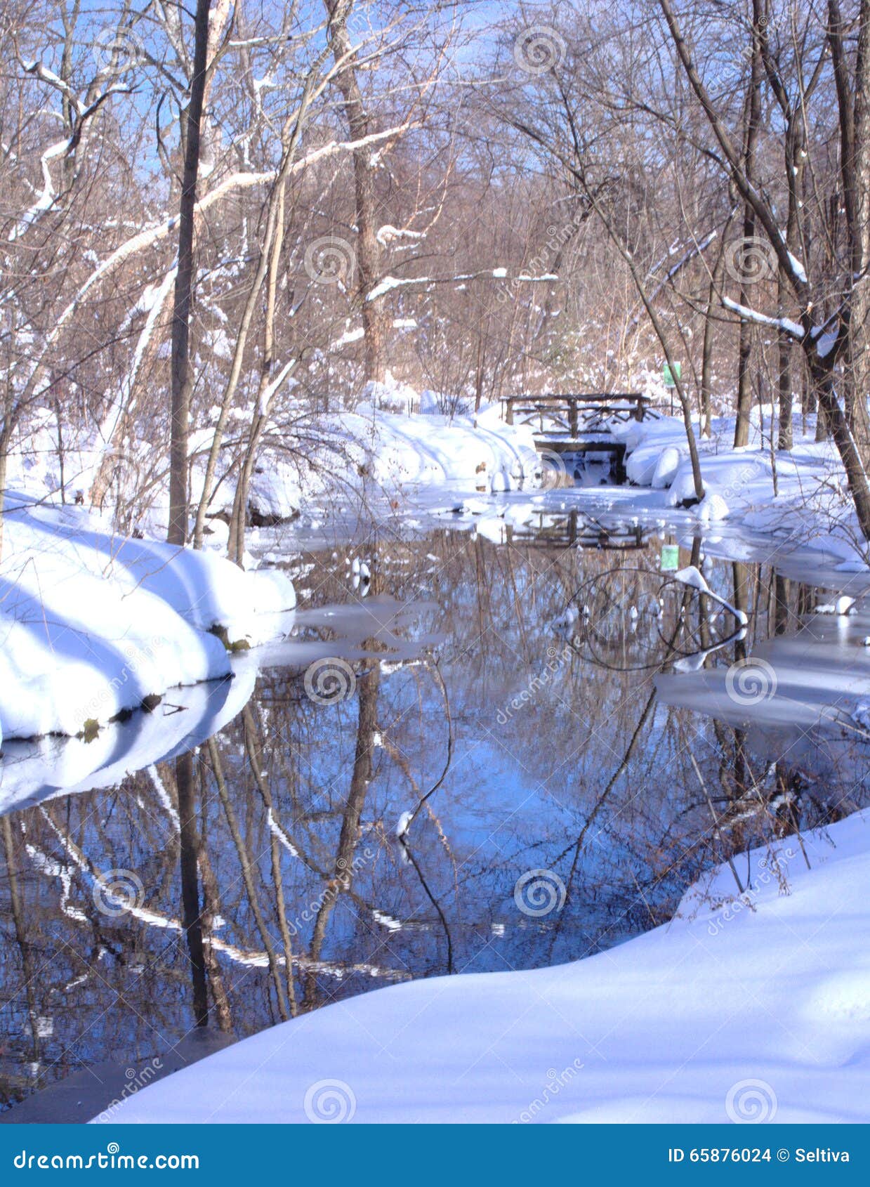 Snow, river and trees stock photo. Image of bright, countryside - 65876024