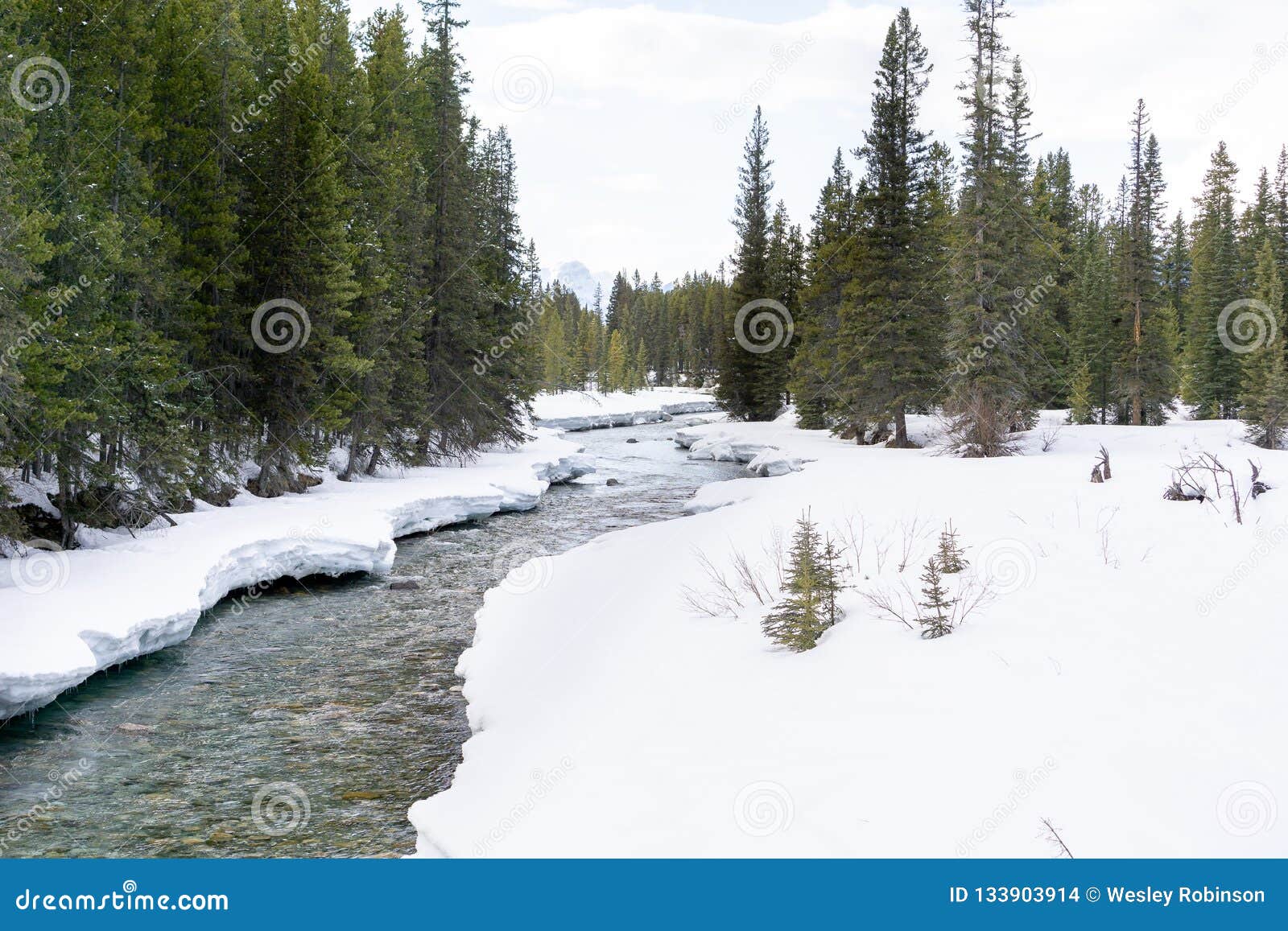 Snow on riverbank stock photo. Image of nature, glacier - 133903914