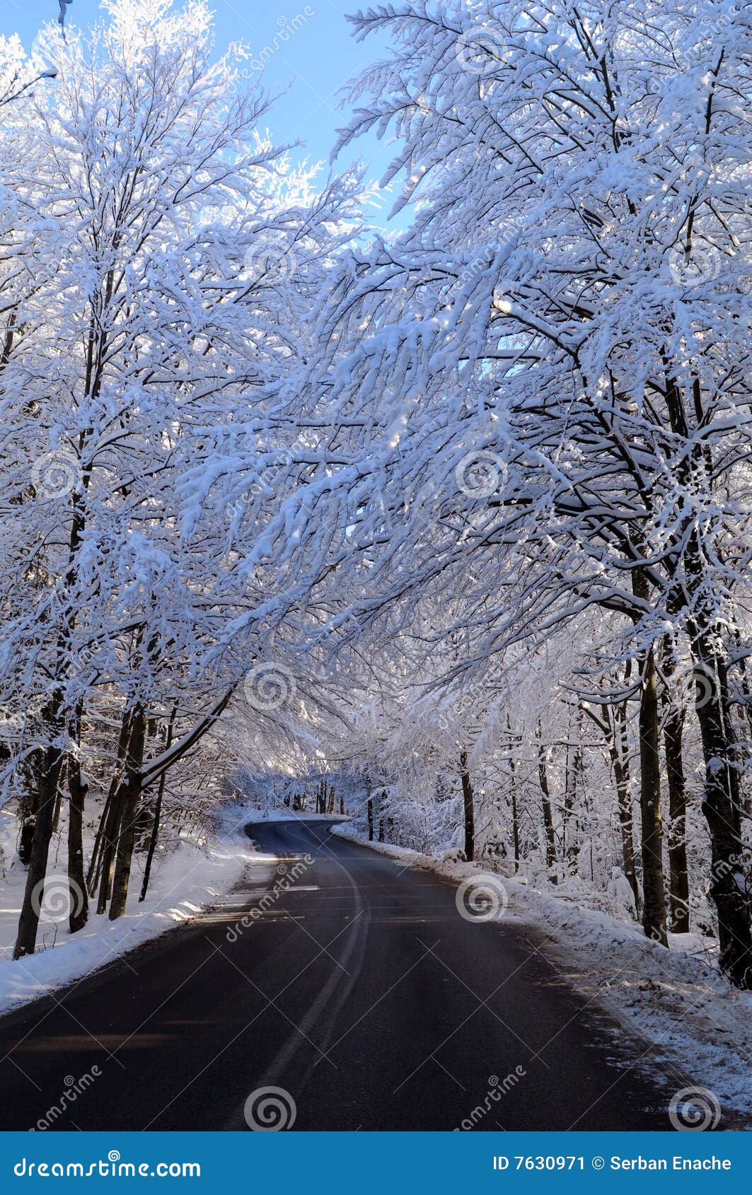 Snow road stock image. Image of countryside, foliage, rural - 7630971