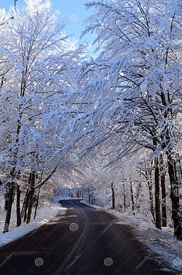 Snow road stock image. Image of countryside, foliage, rural - 7630971