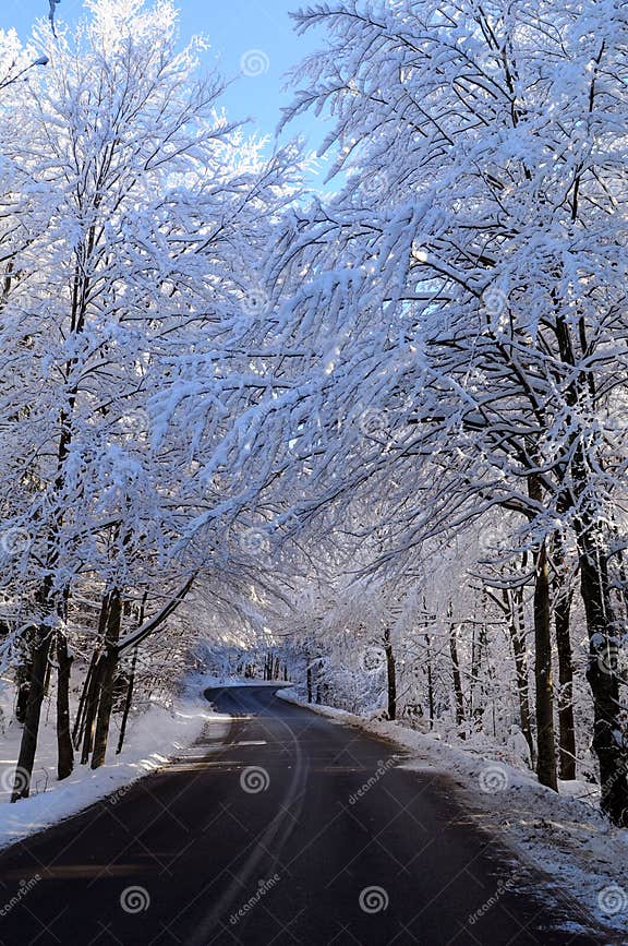 Snow road stock image. Image of countryside, foliage, rural - 7630971