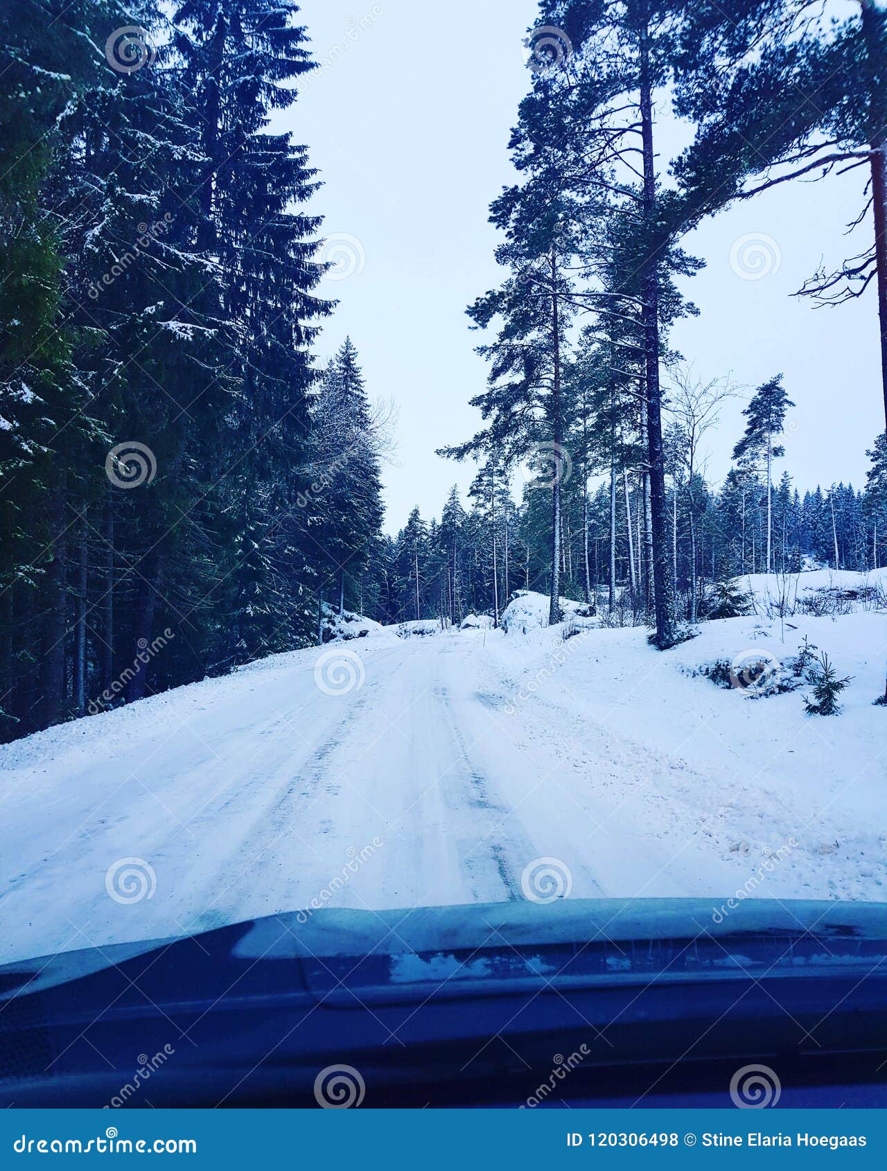 Snowy road stock photo. Image of winter, snow, road - 120306498