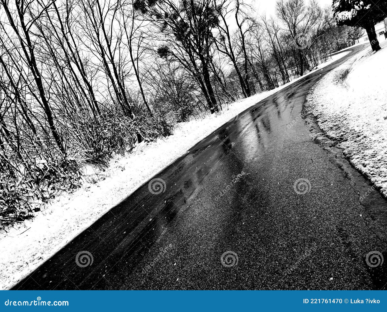 Snow, road, tree stock photo. Image of winter, lane - 221761470