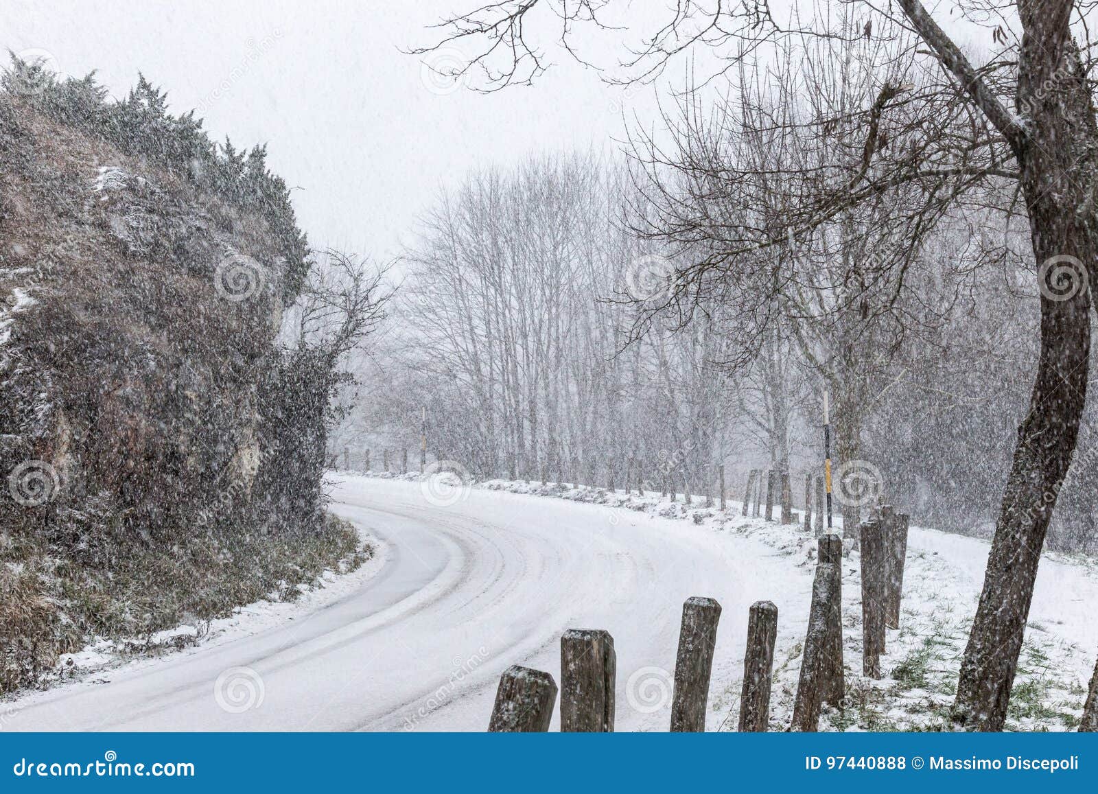 Snow, road and tree stock photo. Image of tree, luoghi - 97440888