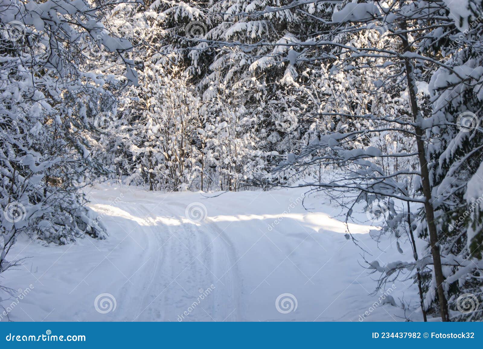 Snow Road through the Winter Forest. Pass through a Dense Winter Forest ...