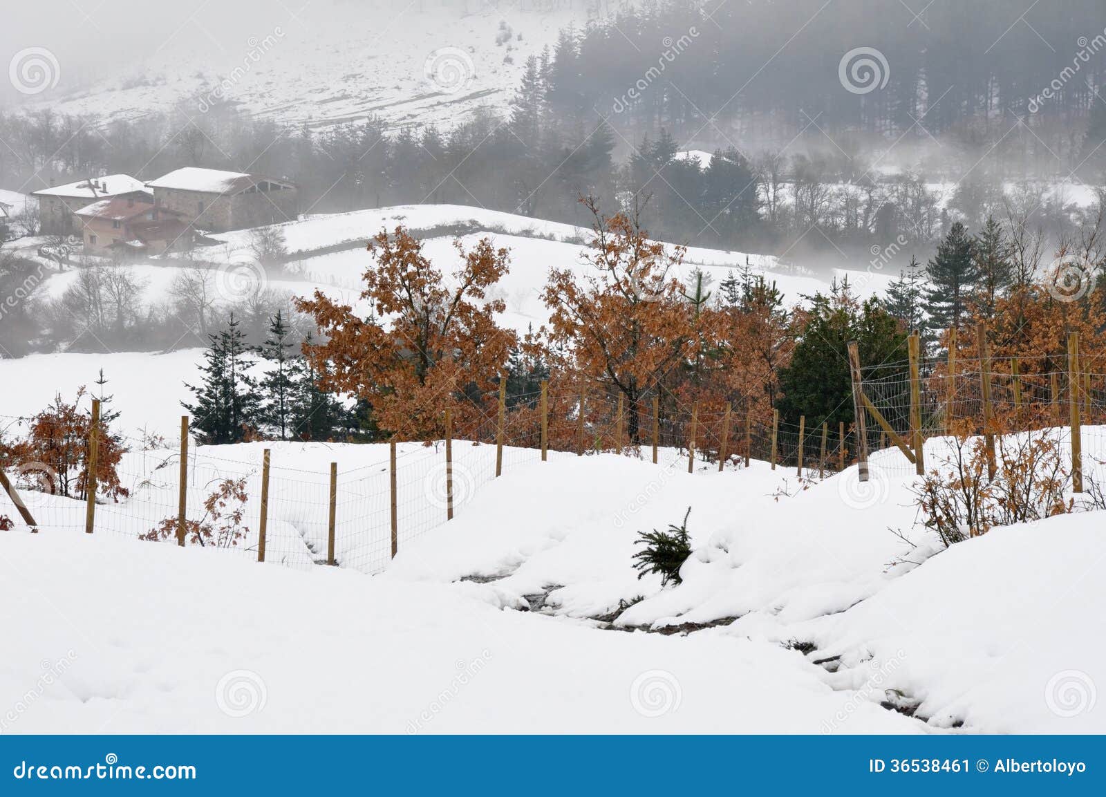 Snow Scape in Elguea Range (Spain) Stock Image - Image of range, alava ...