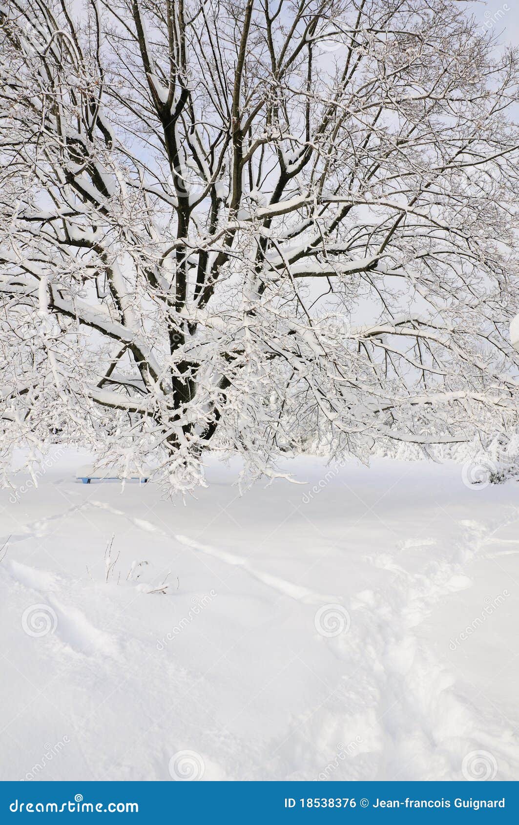 Snow Scene stock photo. Image of snowdrift, snowstorm - 18538376