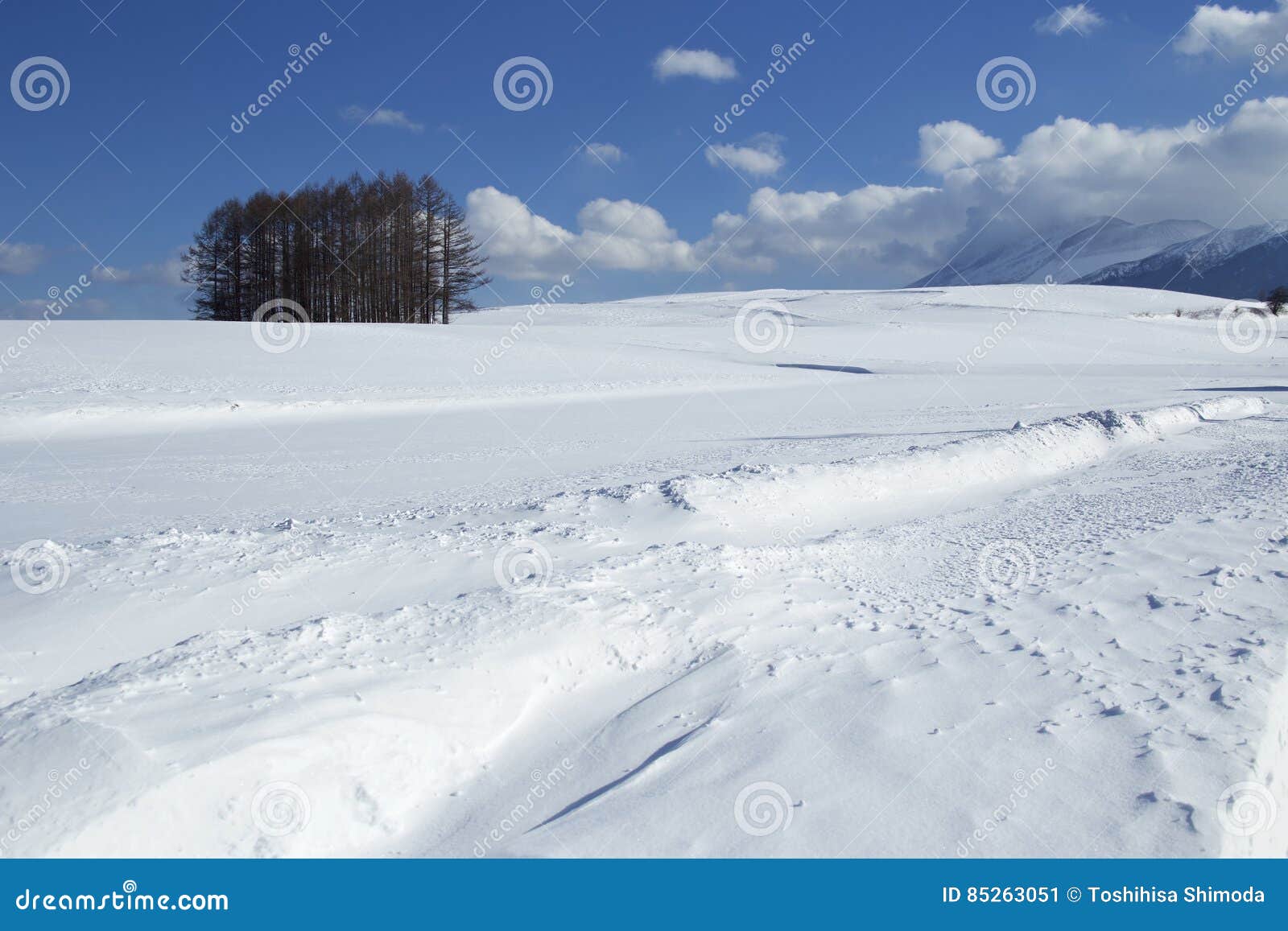 Snow scene in Japan stock image. Image of frosty, clear - 85263051
