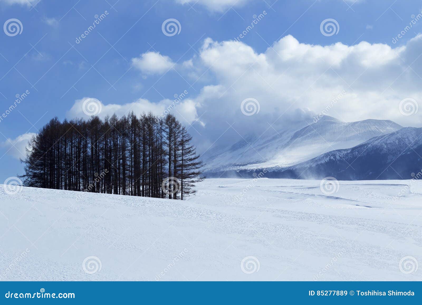 Snow scene in Japan stock image. Image of frozen, frost - 85277889