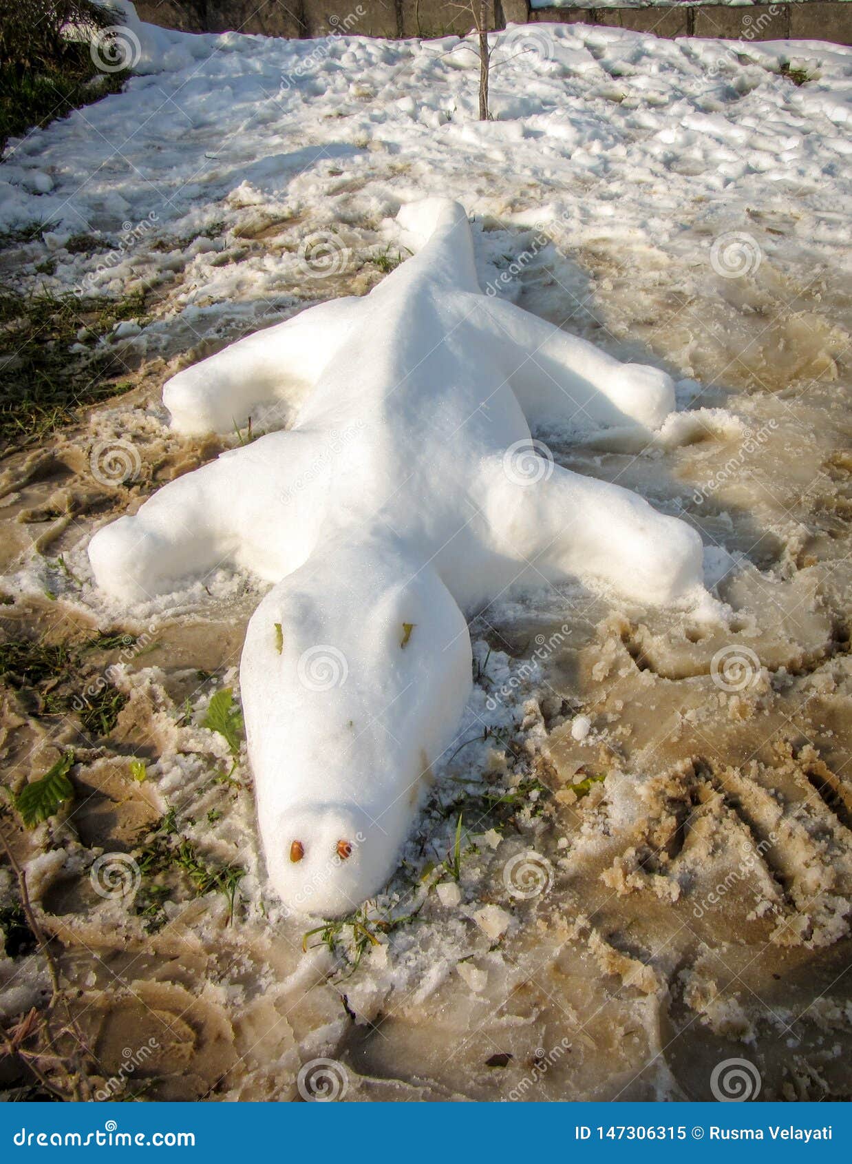 Snow Sculpture Alligator in the White Snow. Stock Image - Image of ...