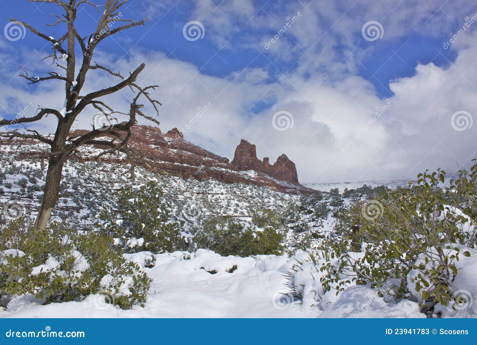 Snow in Sedona stock image. Image of geologic, trees - 23941783
