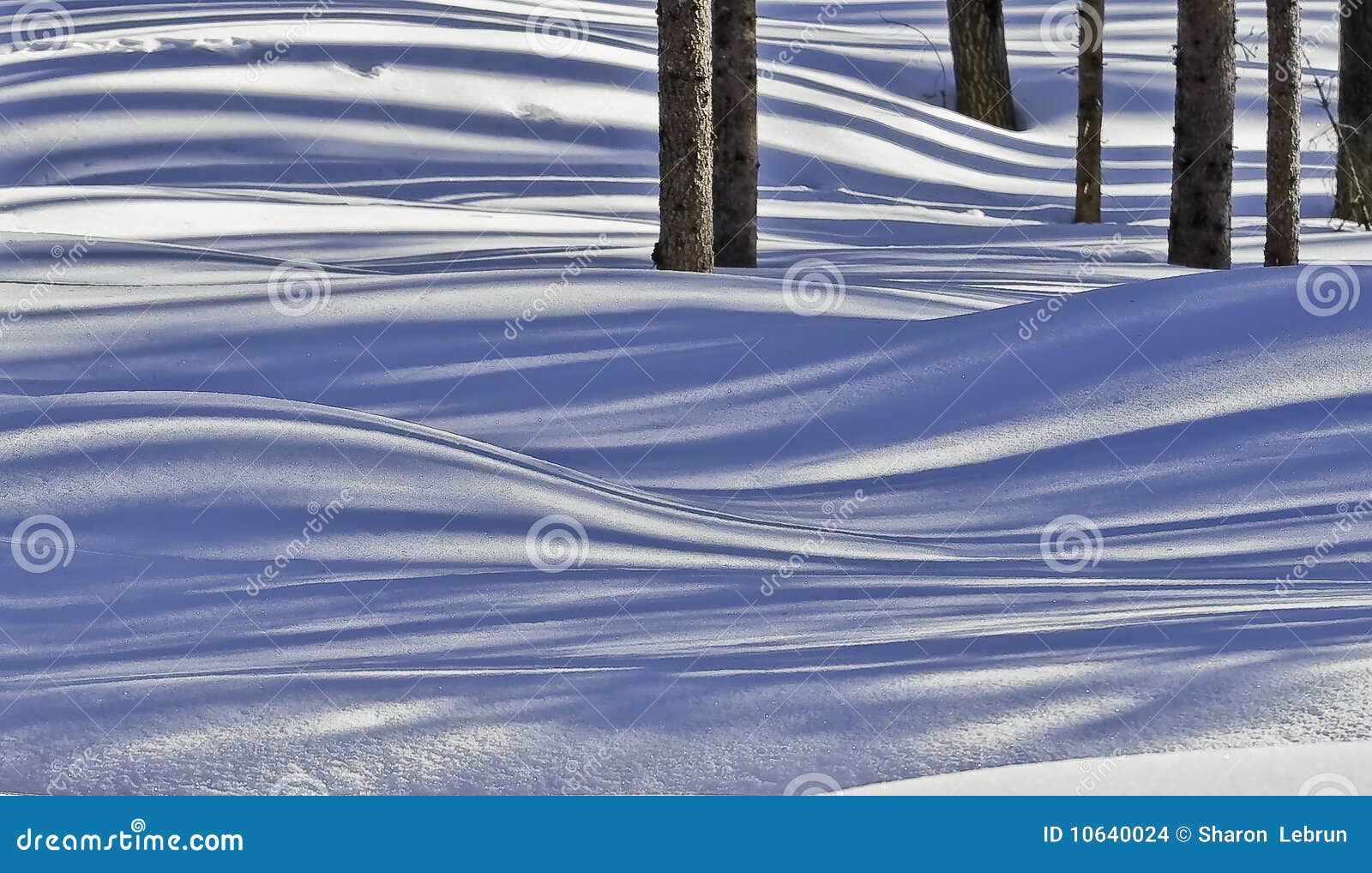 Snow Shadows 01 stock photo. Image of lines, horizontal - 10640024