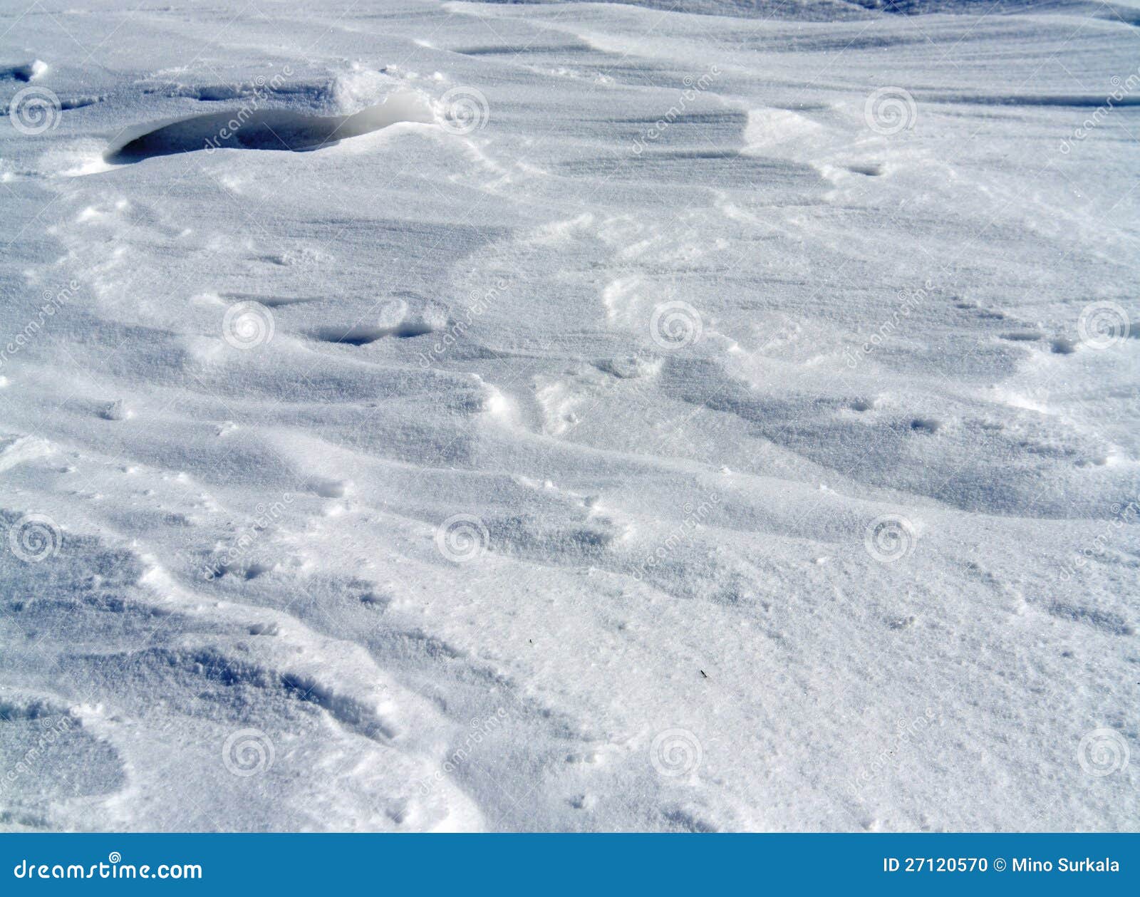 Snow shadows stock photo. Image of shadow, frozen, calm - 27120570