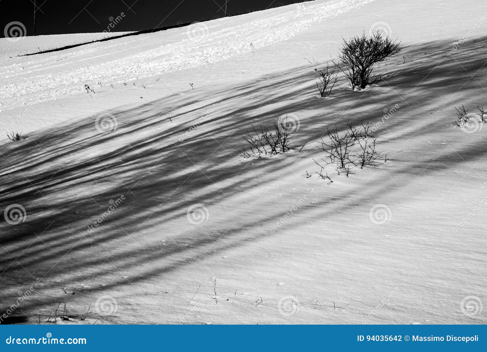 Snow and shadows stock photo. Image of freeze, luoghi - 94035642