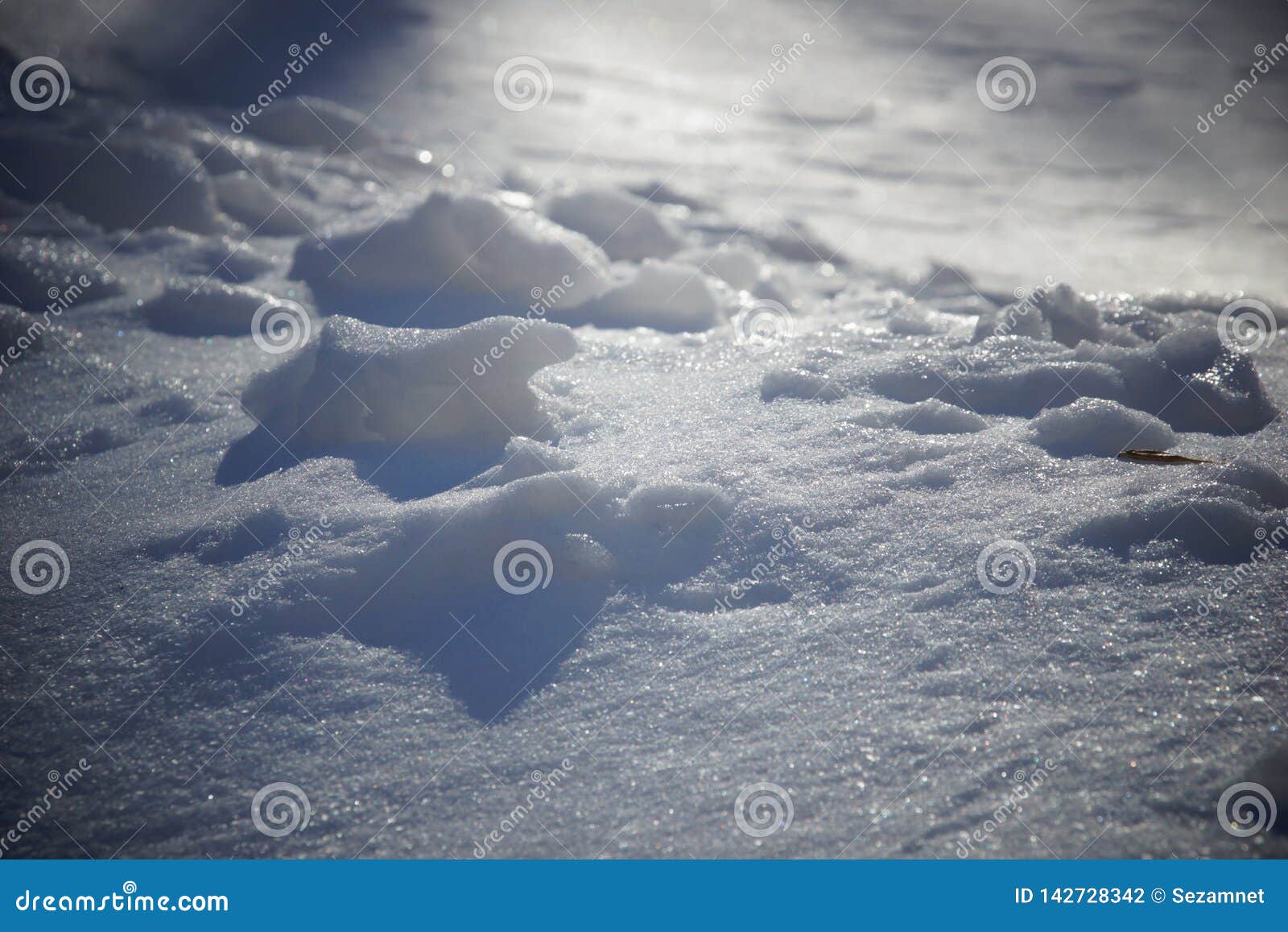 Snow and Shadows. Texture Background Snow Surface the Snow Stock Photo ...