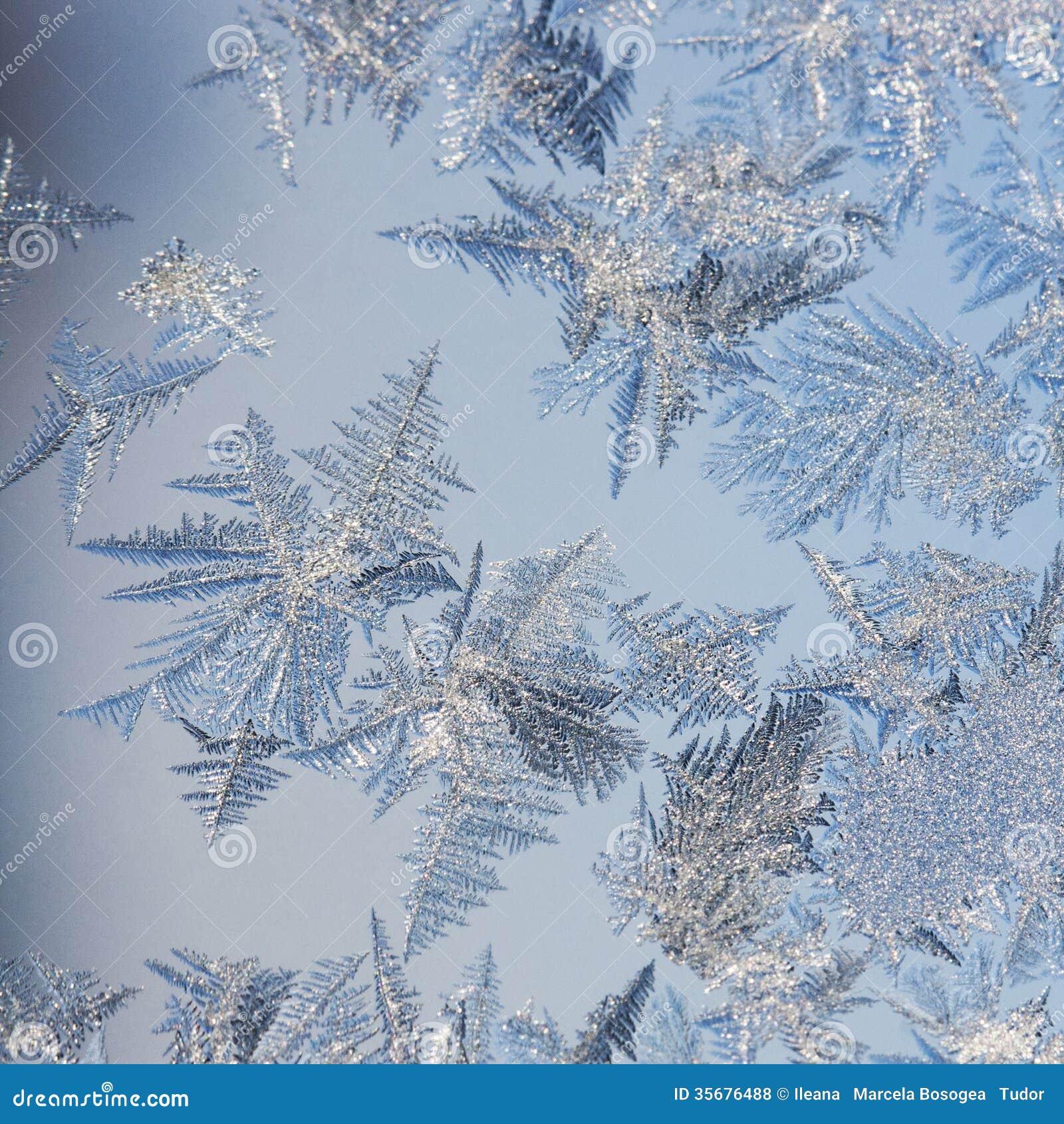 Snow shapes stock photo. Image of blue, magic, magical - 35676488