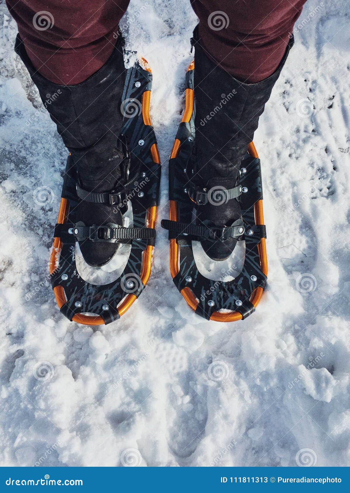 Snow Shoes in the Winter Snow Stock Image - Image of backpacker, hike ...