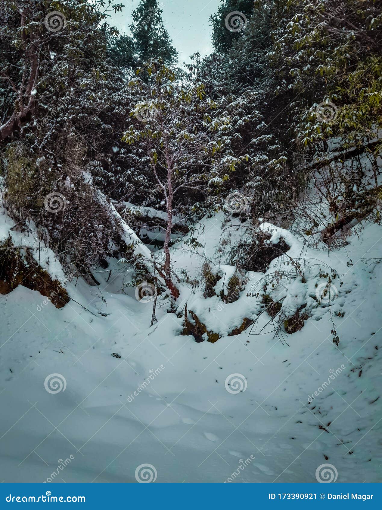 Snow Sindhupalchok Nepal Visit Nepal 2020 Stock Image - Image of snow ...