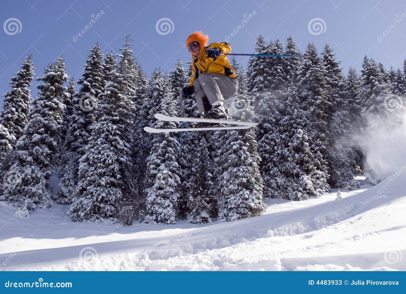 Snow Skier stock image. Image of athlete, coniferous, extreme - 4483933