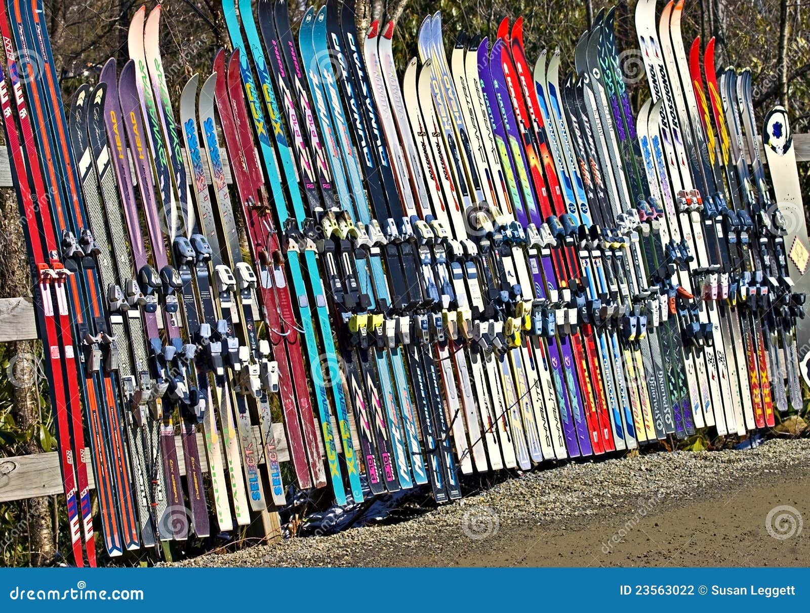 Snow Skis in a Row editorial photography. Image of ready - 23563022