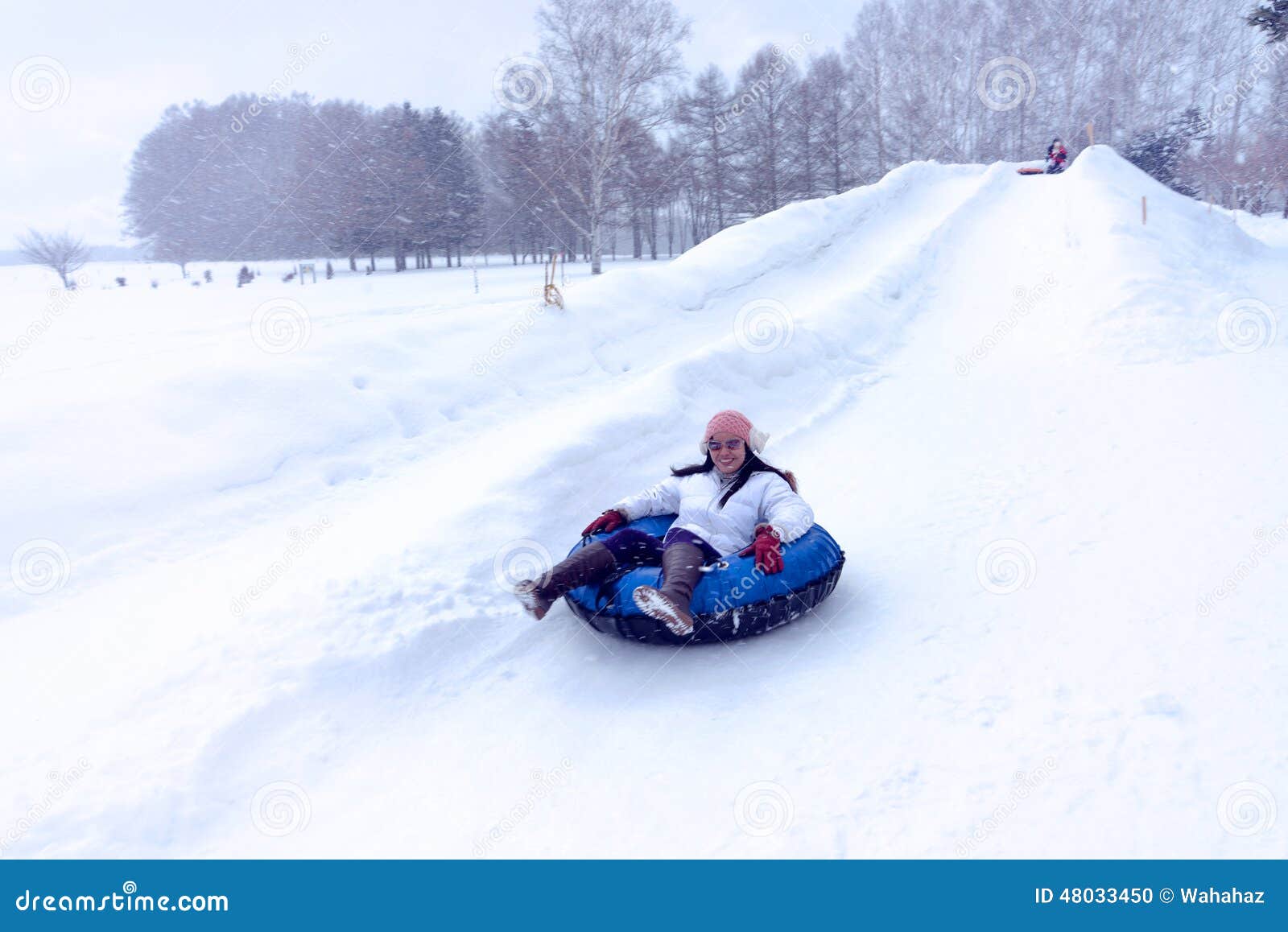 Snow Slider stock photo. Image of slide, ride, freeze - 48033450