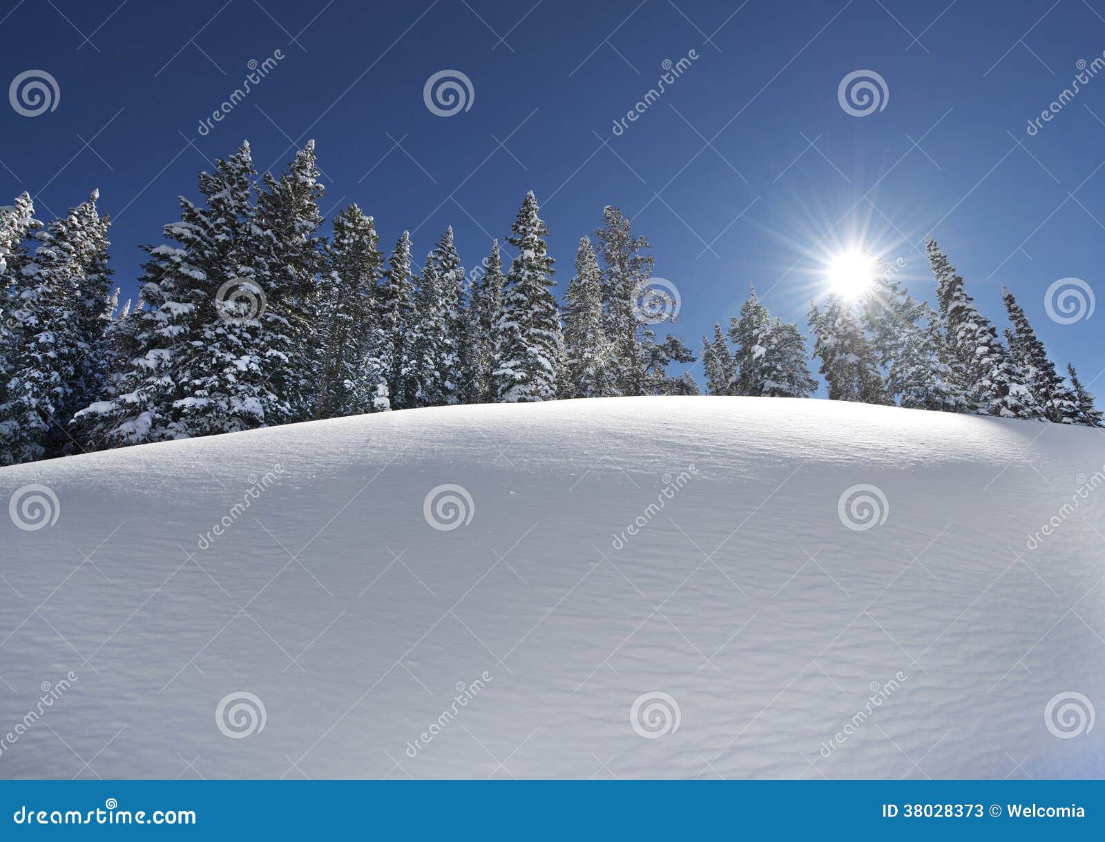 Snow Slope Scenery stock image. Image of fresh, natural - 38028373