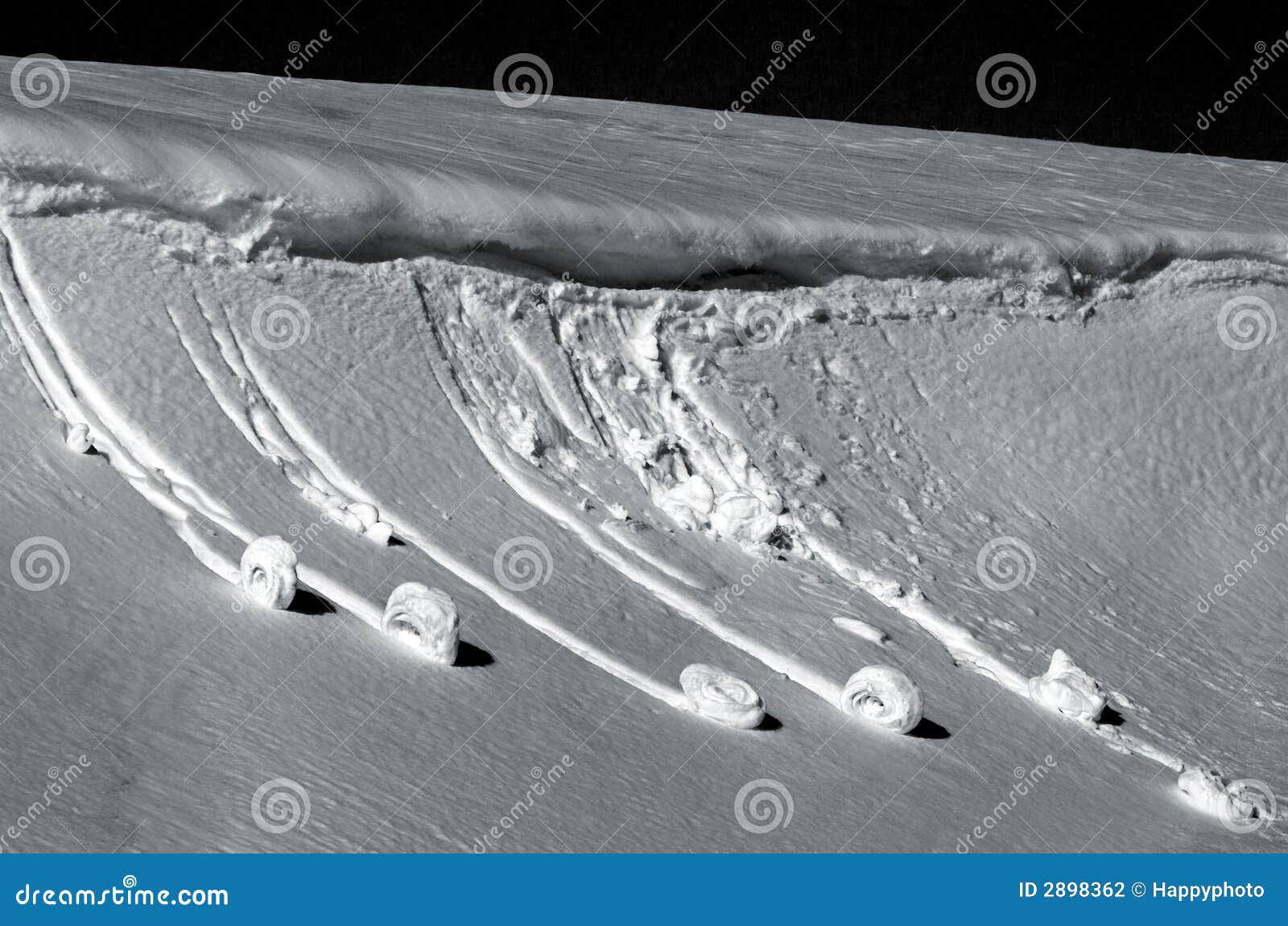 Snow snails stock photo. Image of beauty, cold, shape - 2898362