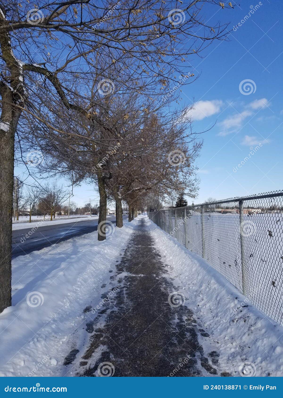 Snowy Afternoon Sun stock image. Image of frost, winter - 240138871