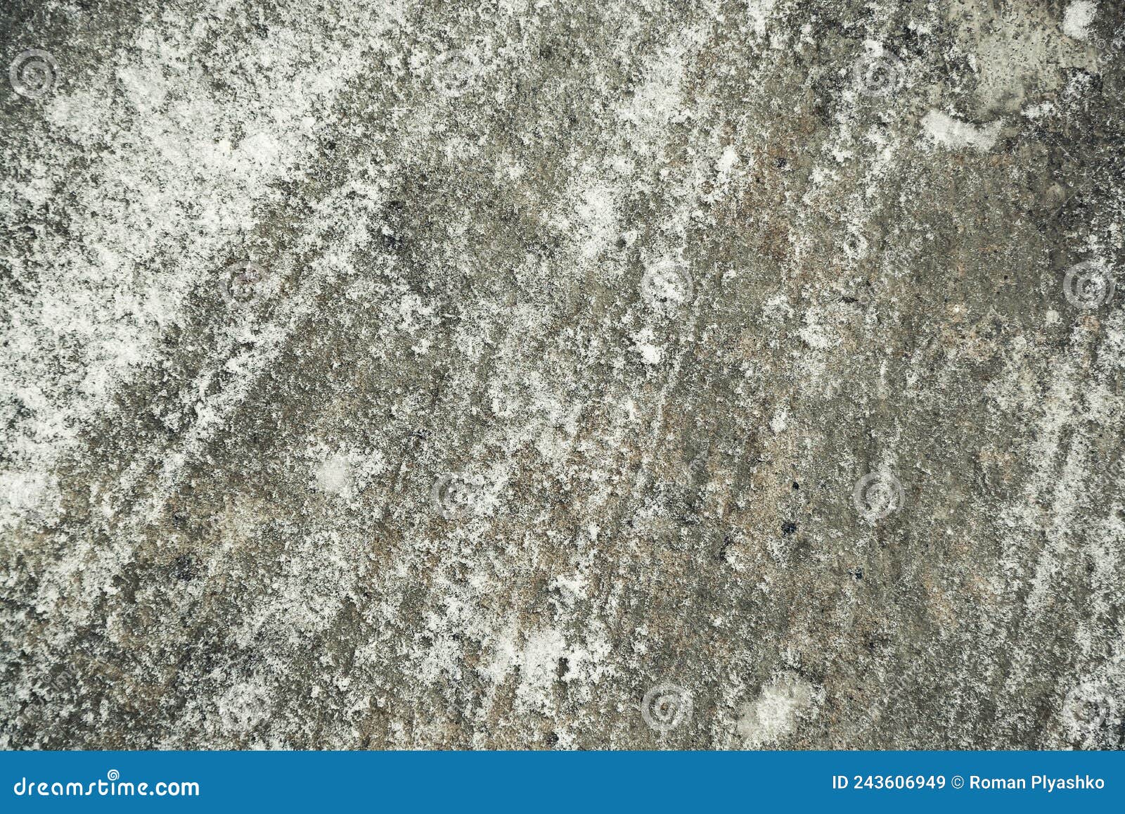 Snow on Solid Material. Cemented Surface in the Snow Stock Image ...