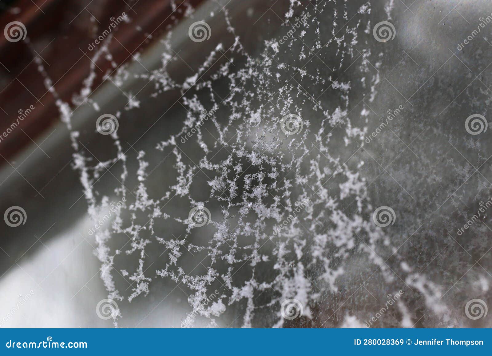 Snow on a spiders web stock image. Image of spiders - 280028369