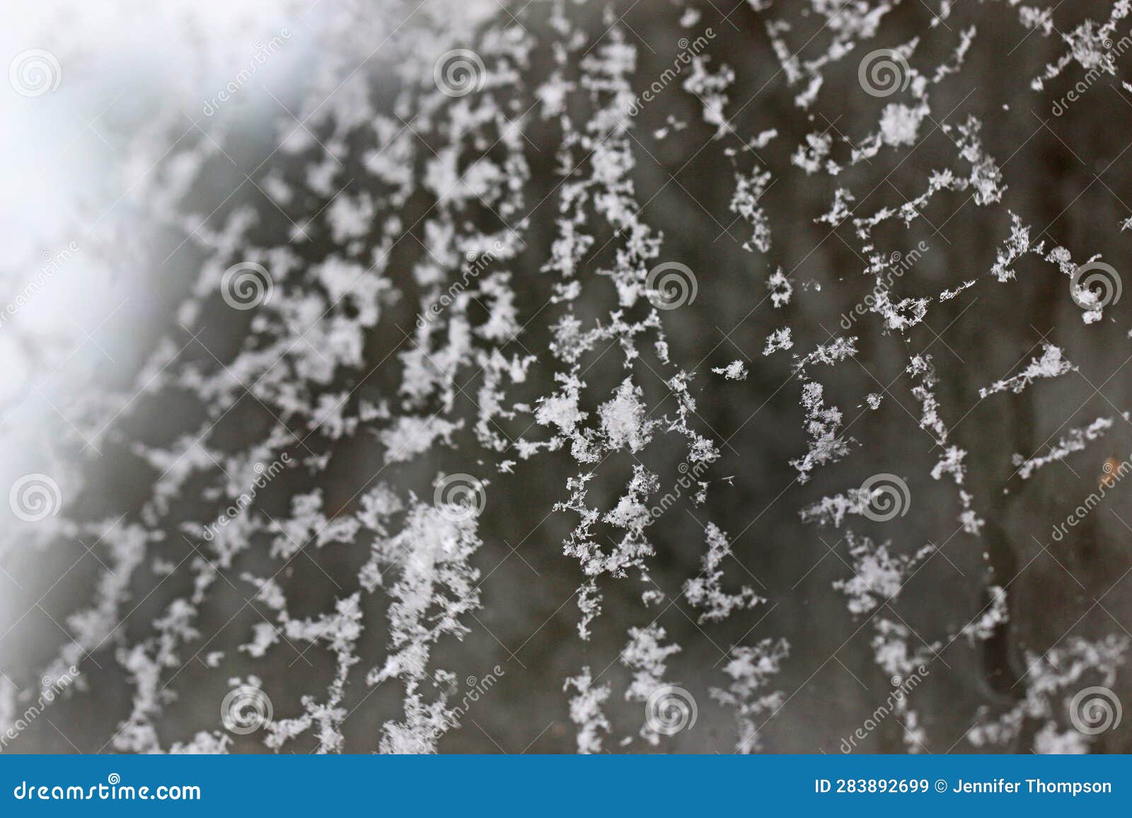 Snow on a spiders web stock image. Image of spider, pattern - 283892699