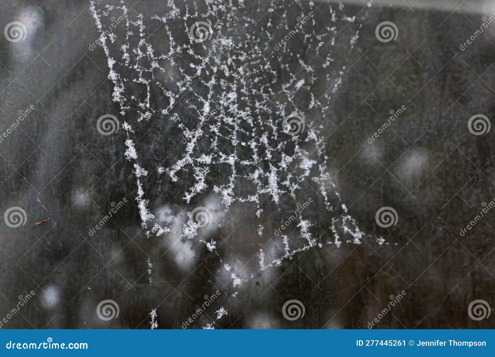 Snow on a spiders web stock image. Image of spiderweb - 277445261