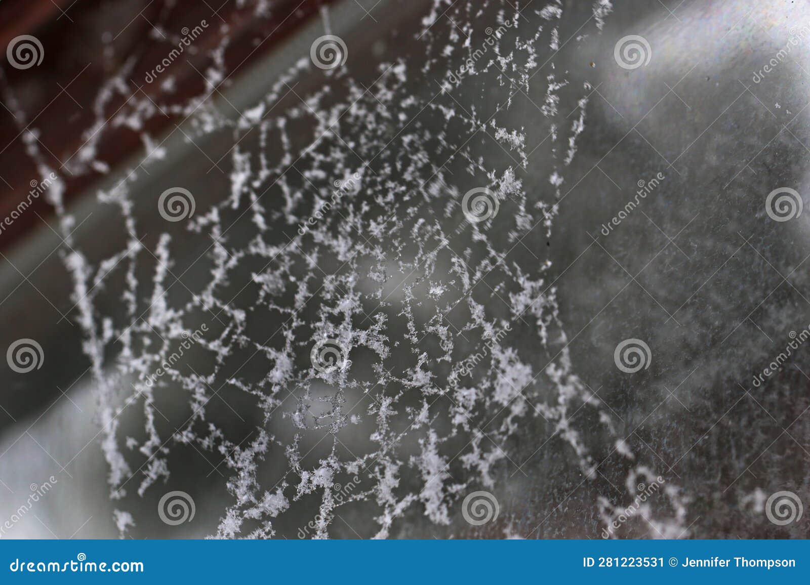 Snow on a spiders web stock image. Image of morning - 281223531