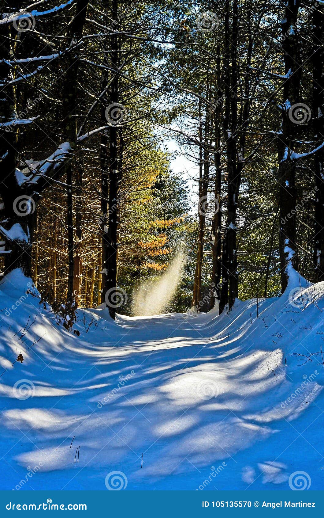 Snow spirit stock photo. Image of winter, scene, spirit - 105135570