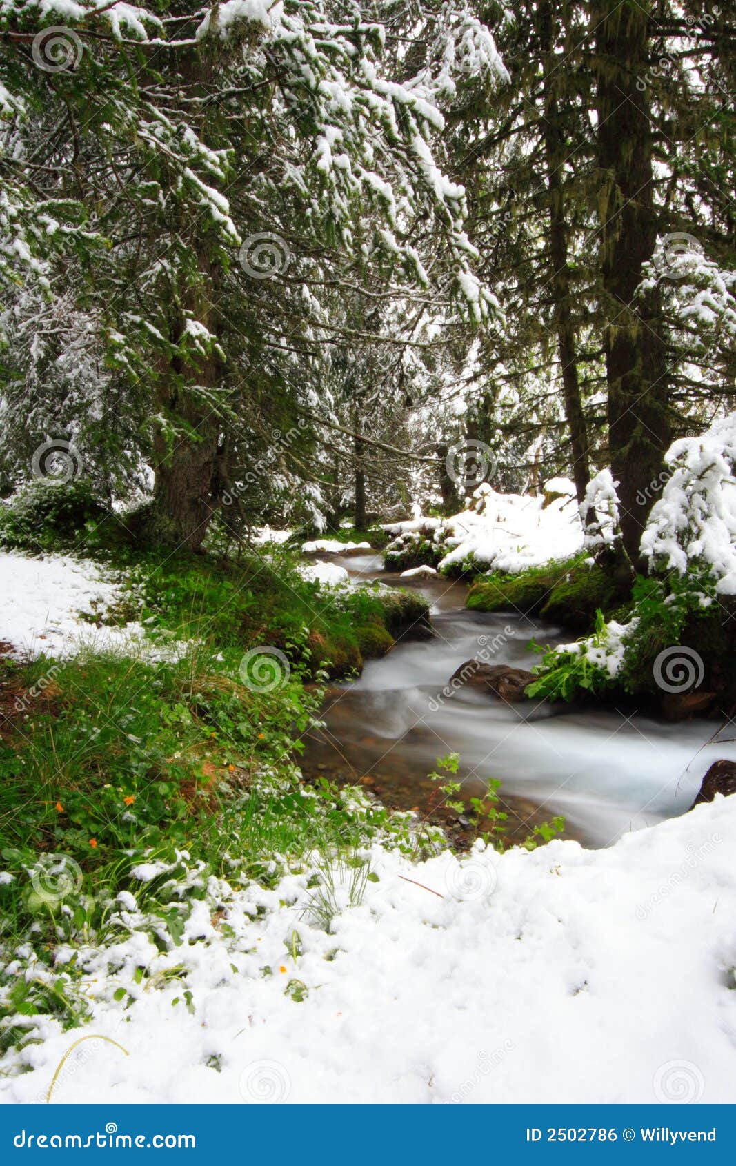 Snow at spring season stock photo. Image of season, landscape - 2502786