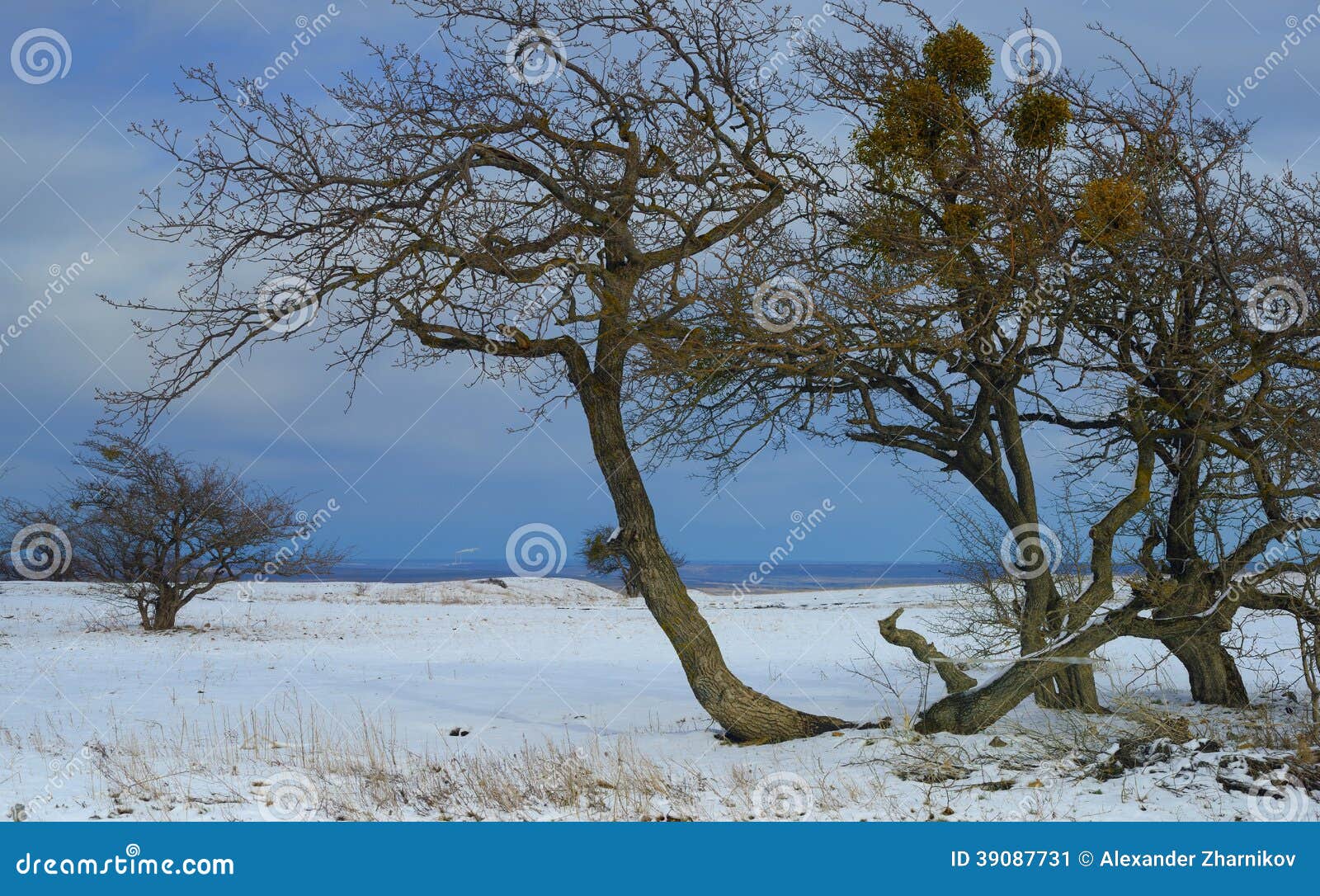 Snow spring stock image. Image of life, spring, sunny - 39087731
