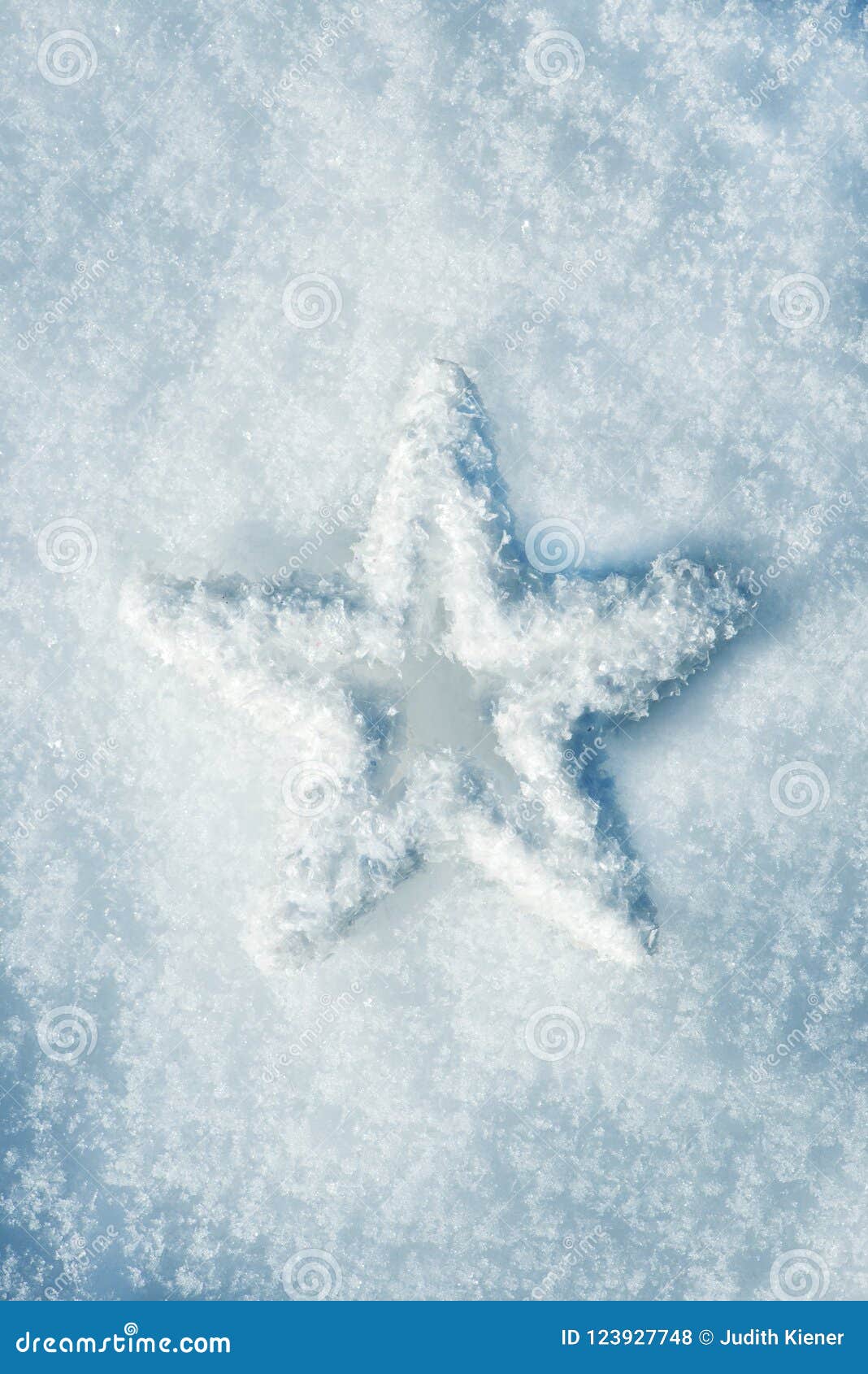 Snow star in the snow stock photo. Image of concept - 123927748
