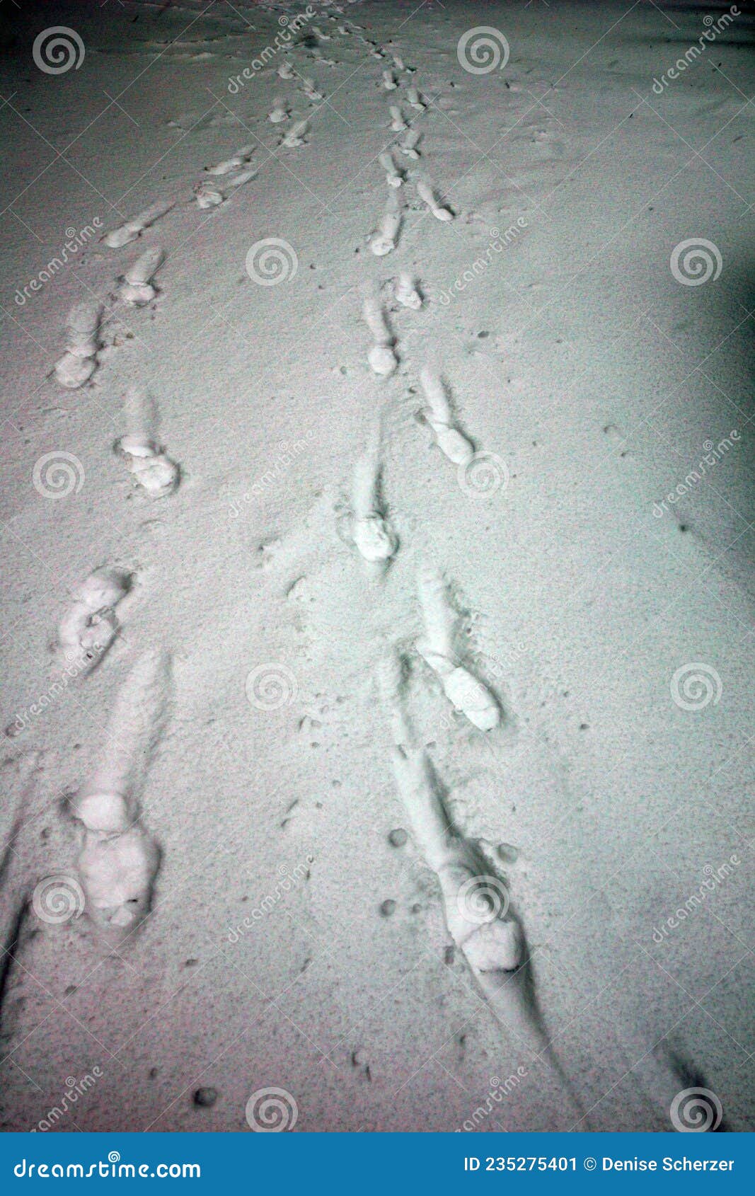 Snow Steps Pathway in Winter Landscape Stock Image - Image of texture ...