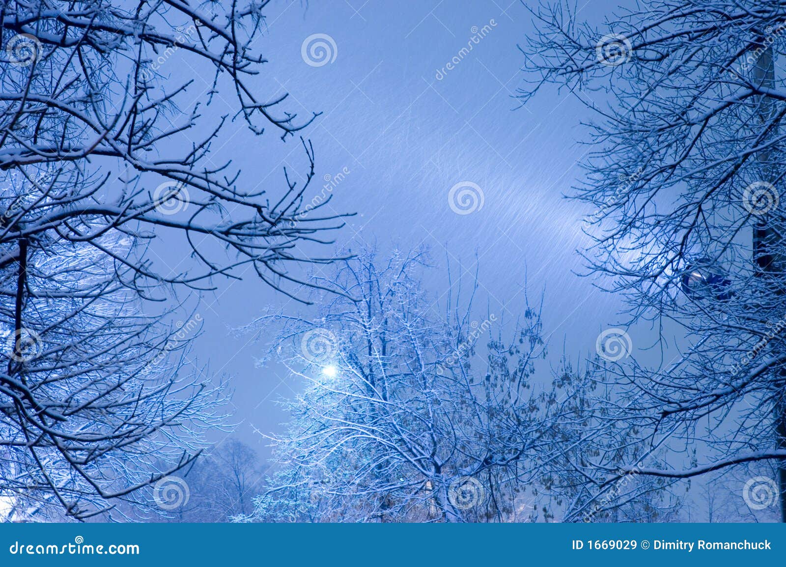 Snow storm stock image. Image of dark, december, outdoors - 1669029