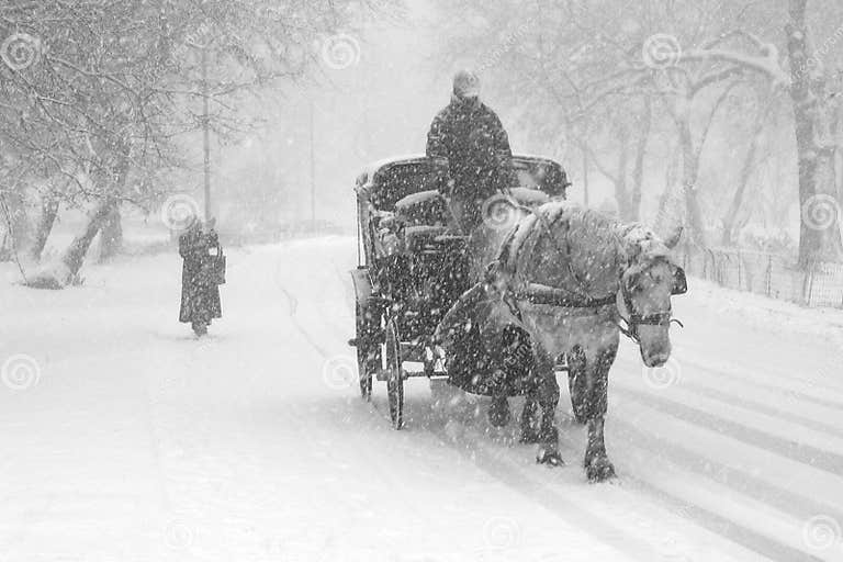 Snow storm stock image. Image of winter, outdoor, landscape - 208215