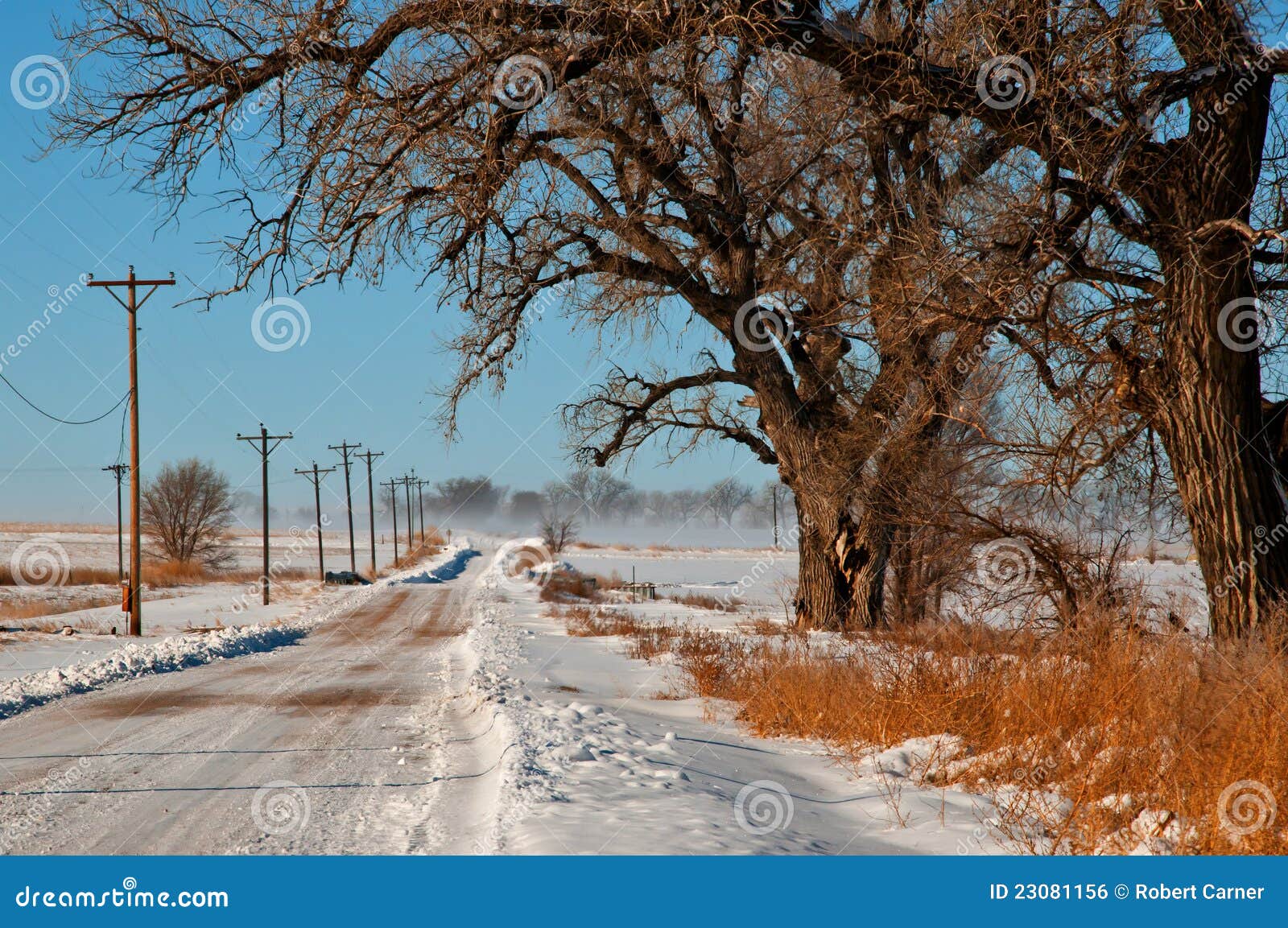 After the Snow Storm stock photo. Image of horizontal - 23081156